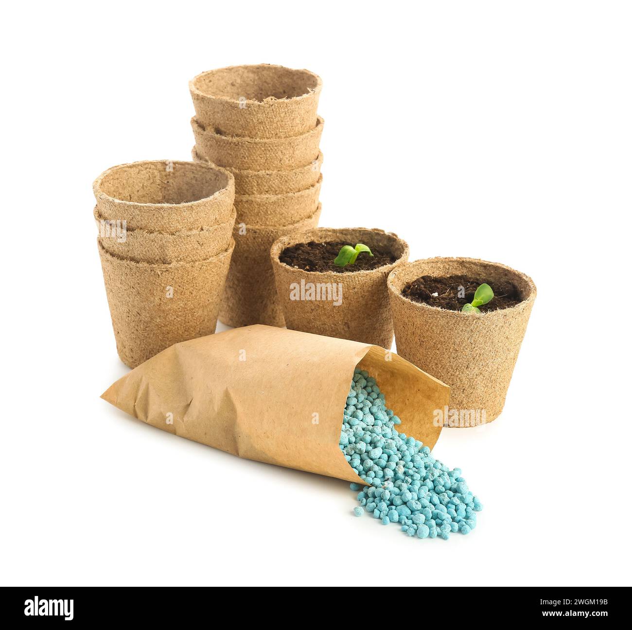 Paper bag with blue granular fertilizer and peat pots isolated on white ...