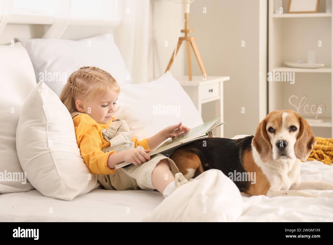 Cute little girl with book and Beagle dog in bedroom Stock Photo - Alamy