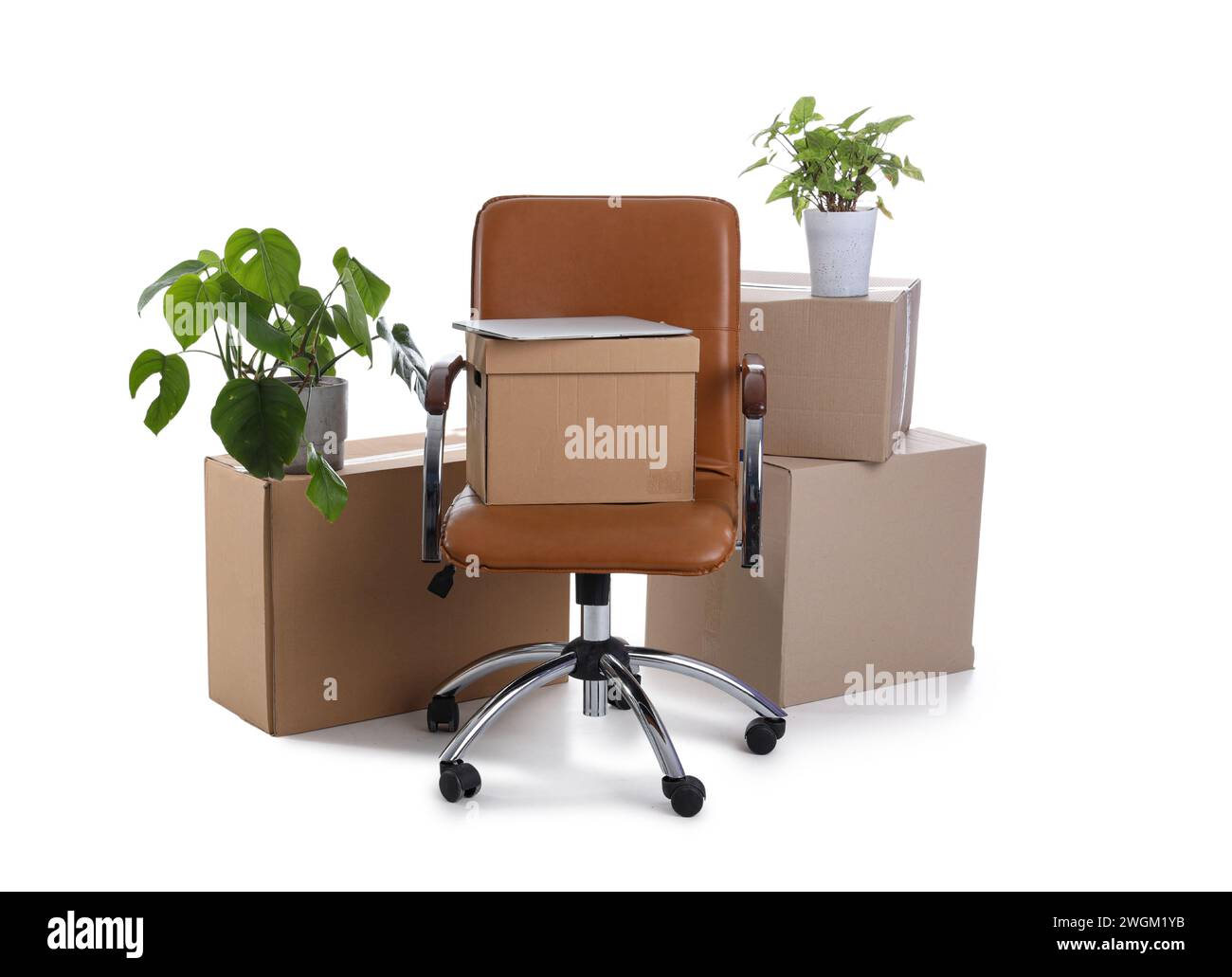 Chair with cardboard boxes and houseplants on white background. Office ...