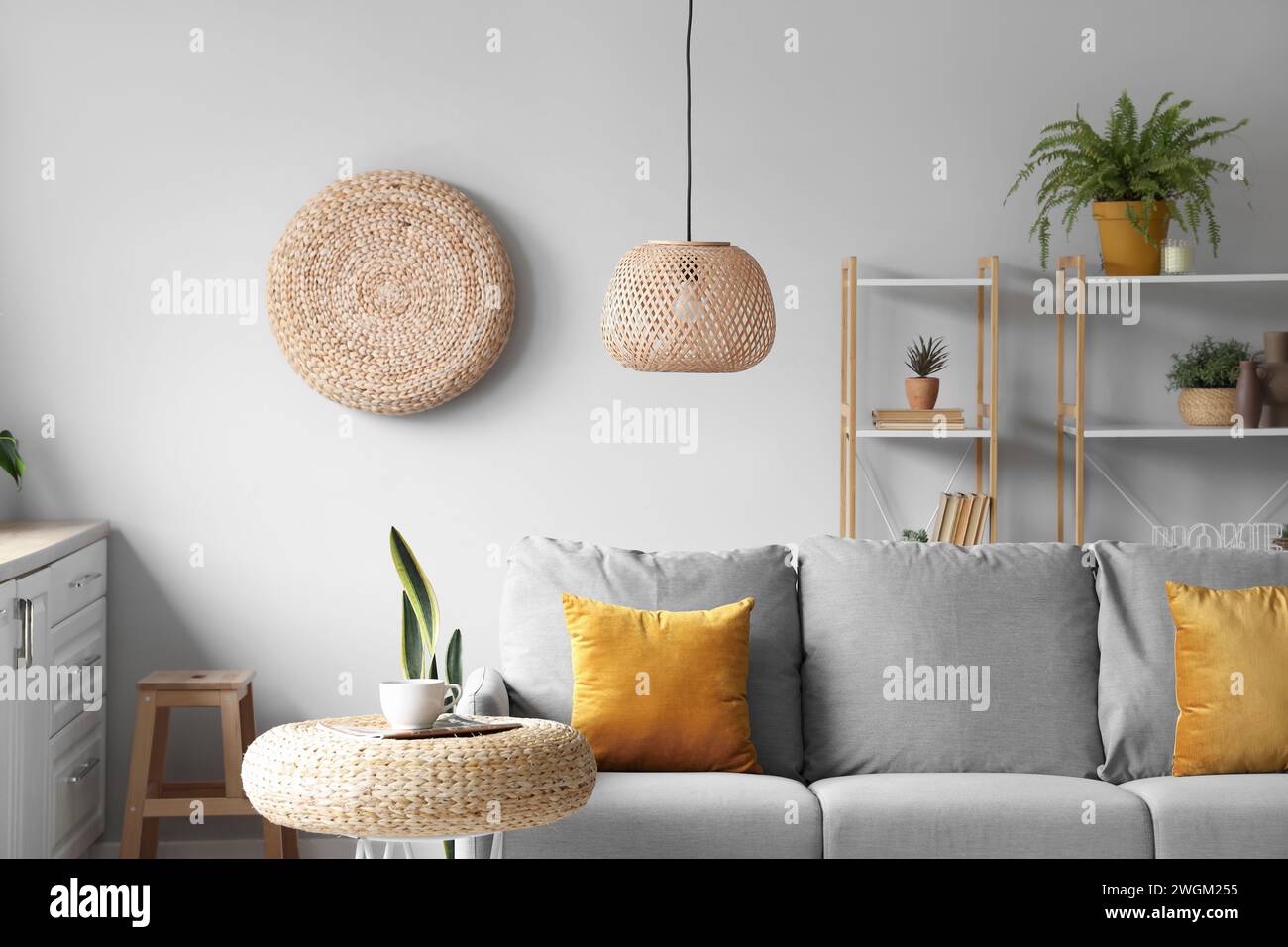 Interior of light living room with cozy grey sofa, houseplants and ...