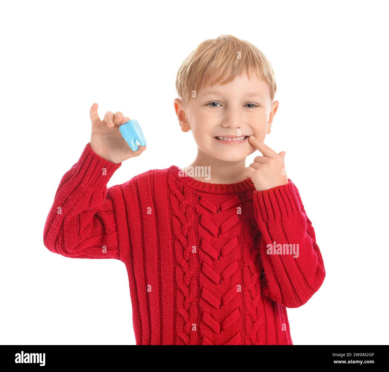 Happy little boy with healthy teeth and model of tooth isolated on ...