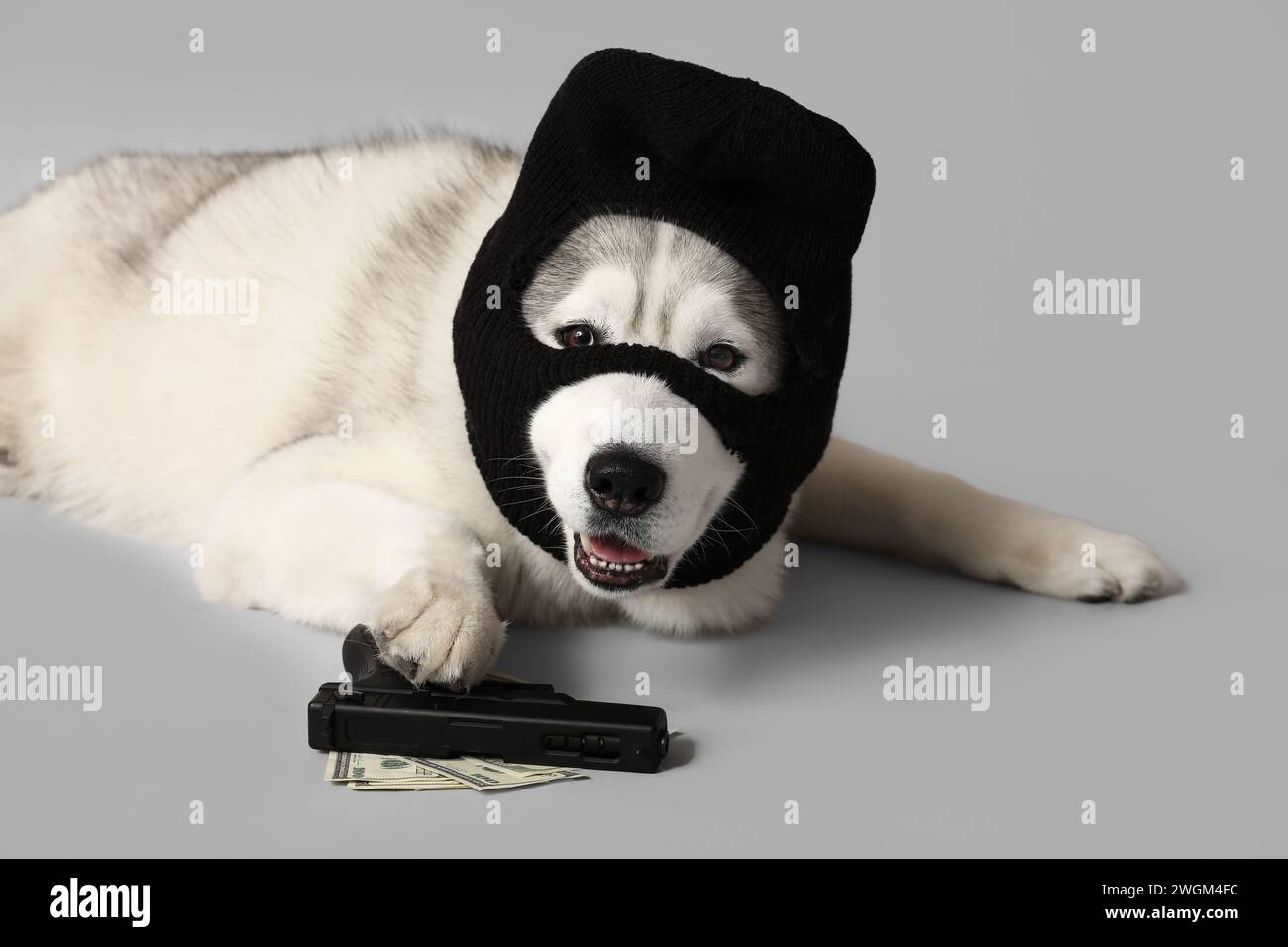 Bank robber humor hi-res stock photography and images - Alamy