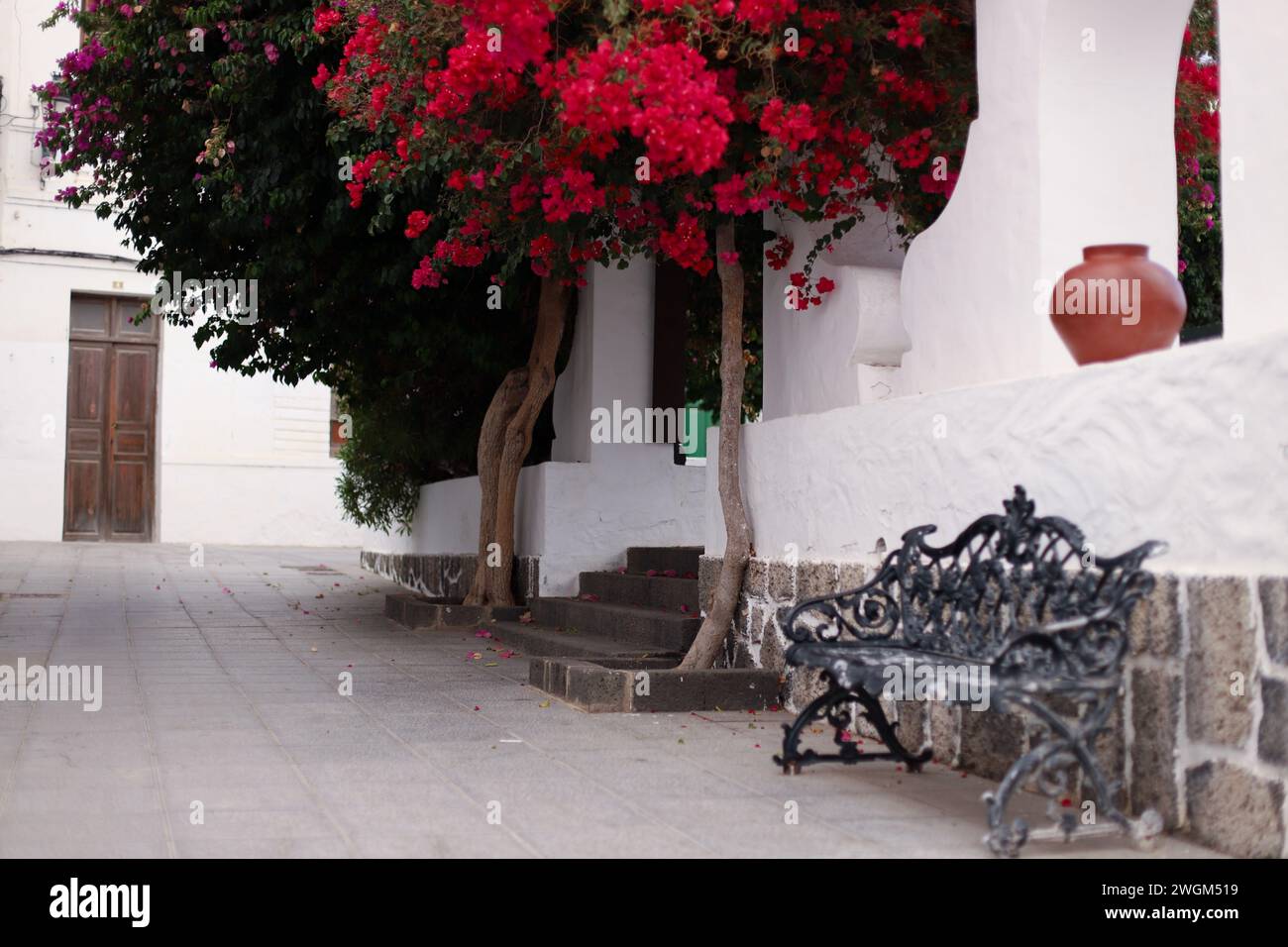 Typical buildings from Teguise, with white houses and blue doors ...