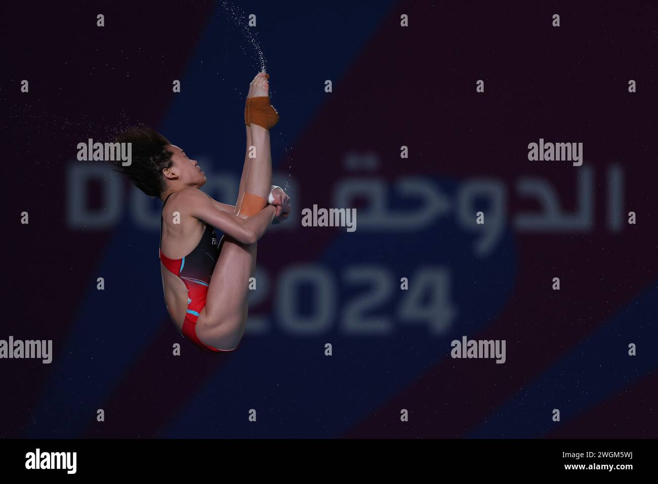 Doha, Qatar. 5th Feb, 2024. Hongchan Quan (CHN) Diving : World Aquatics ...