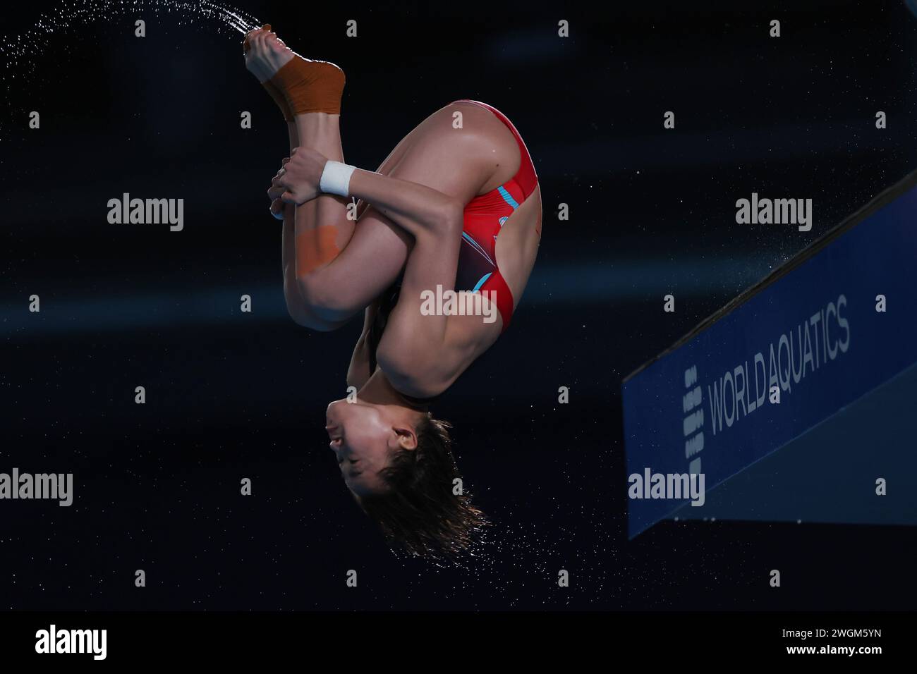 Doha, Qatar. 5th Feb, 2024. Hongchan Quan (CHN) Diving : World Aquatics ...