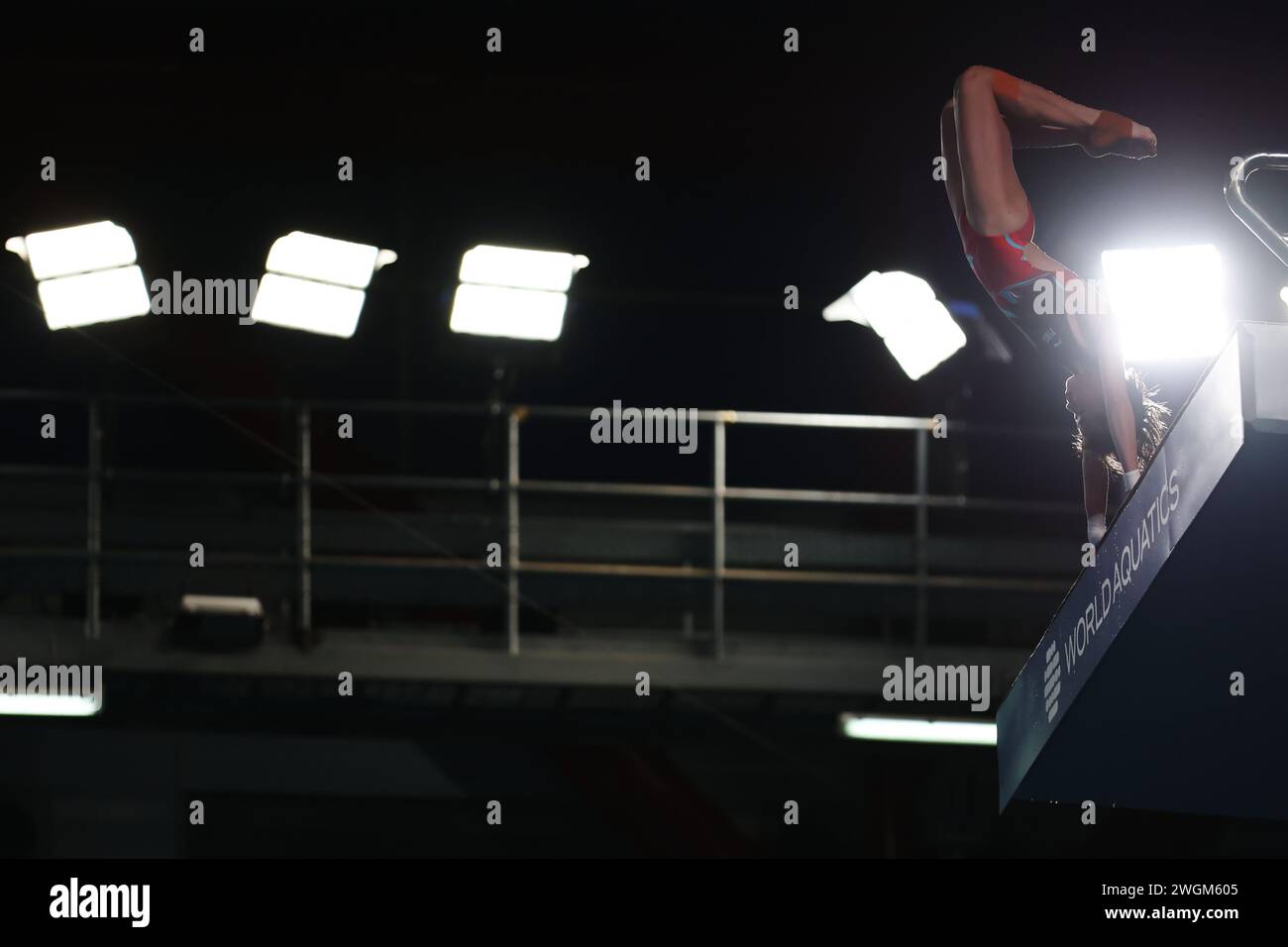 Doha, Qatar. 5th Feb, 2024. Hongchan Quan (CHN) Diving : World Aquatics ...