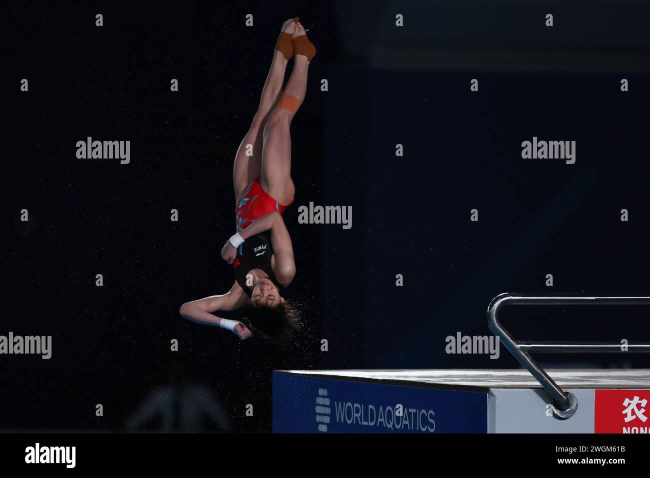 Doha, Qatar. 5th Feb, 2024. Hongchan Quan (CHN) Diving : World Aquatics ...