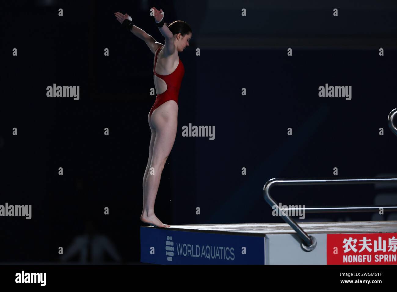 FEBRUARY 5, 2024 - Diving : World Aquatics Championships Doha 2024 ...