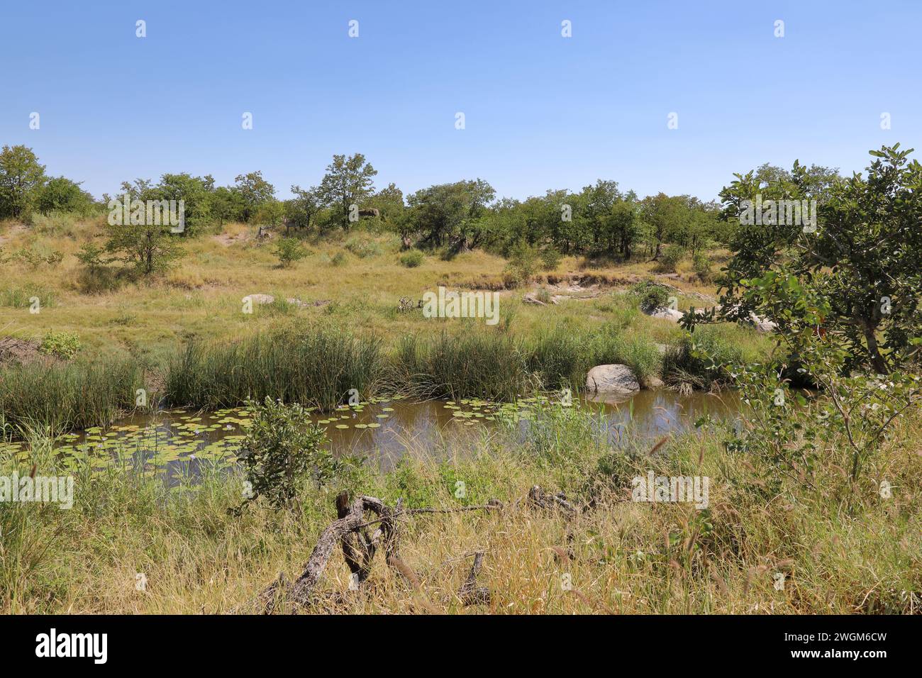 Tsendzeriver hi-res stock photography and images - Alamy