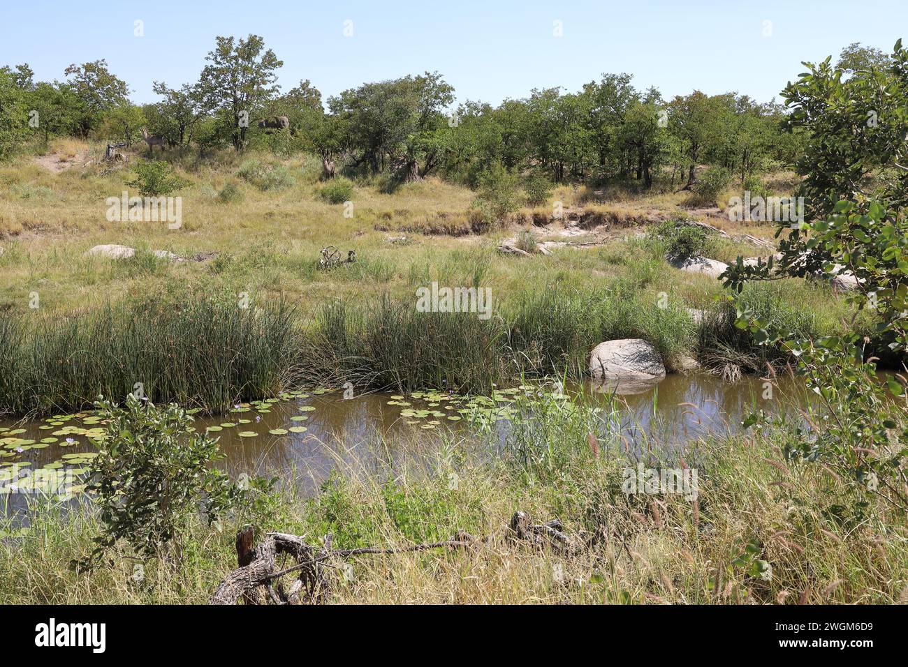 Tsendzeriver hi-res stock photography and images - Alamy