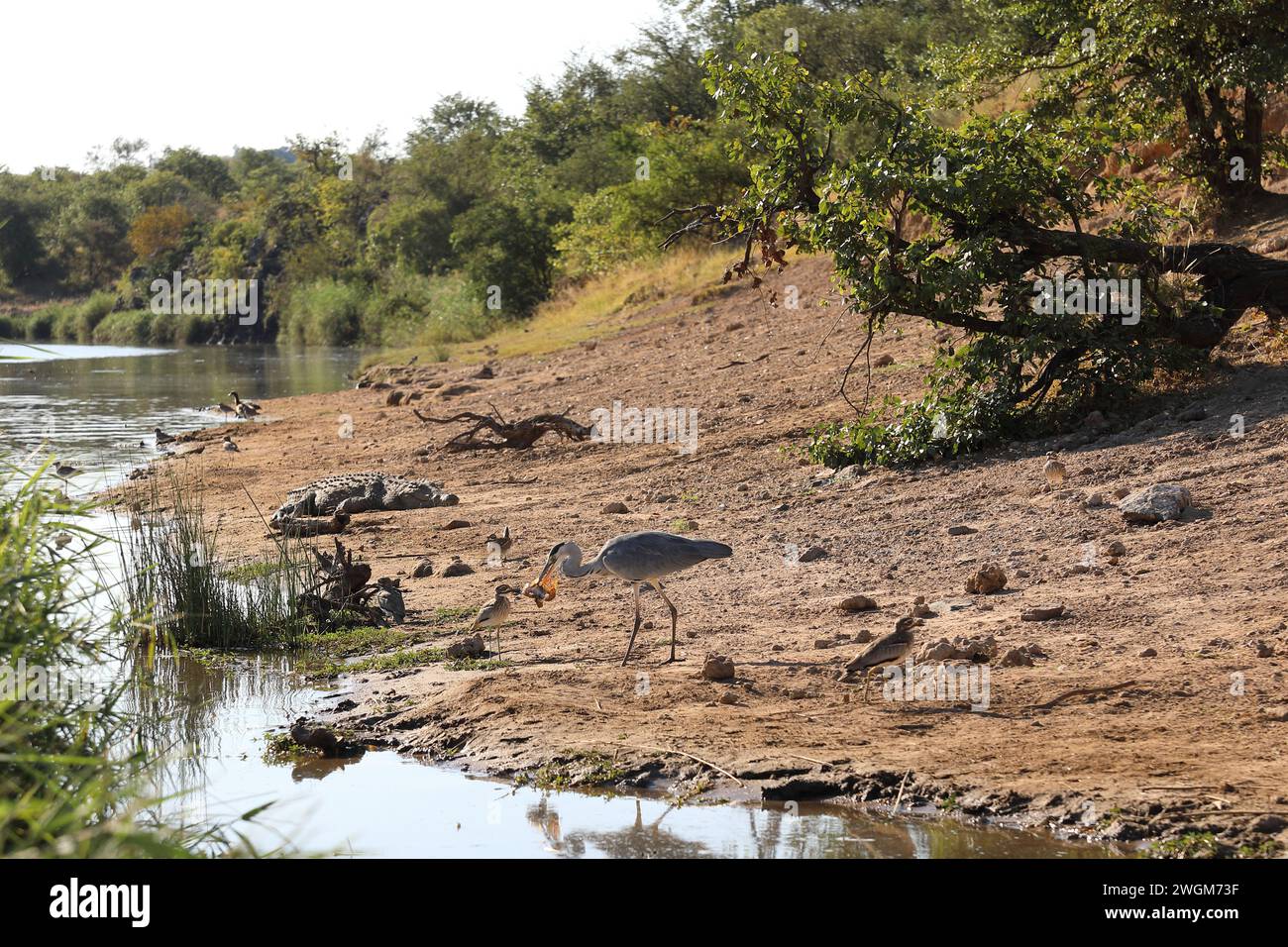 Tsendzeriver hi-res stock photography and images - Alamy