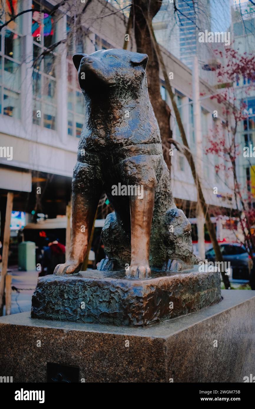 Hachi dog hi-res stock photography and images - Alamy