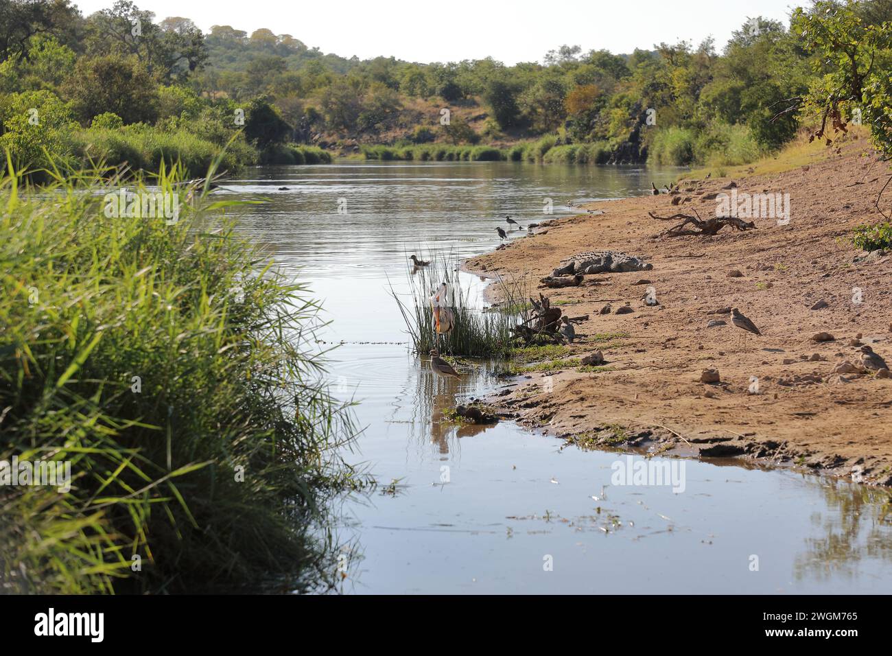 Tsendzeriver hi-res stock photography and images - Alamy