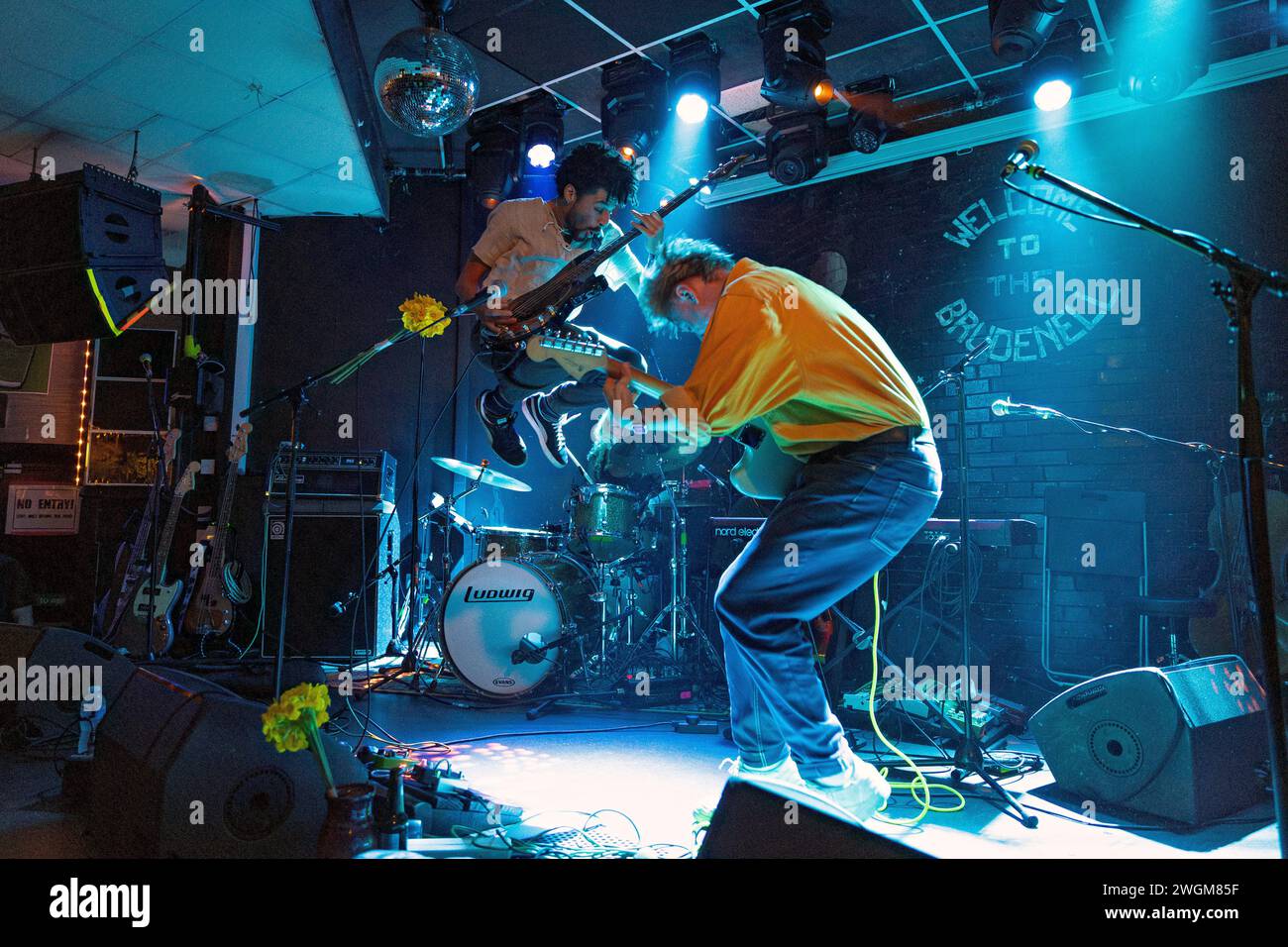 Alien chicks hi-res stock photography and images - Alamy