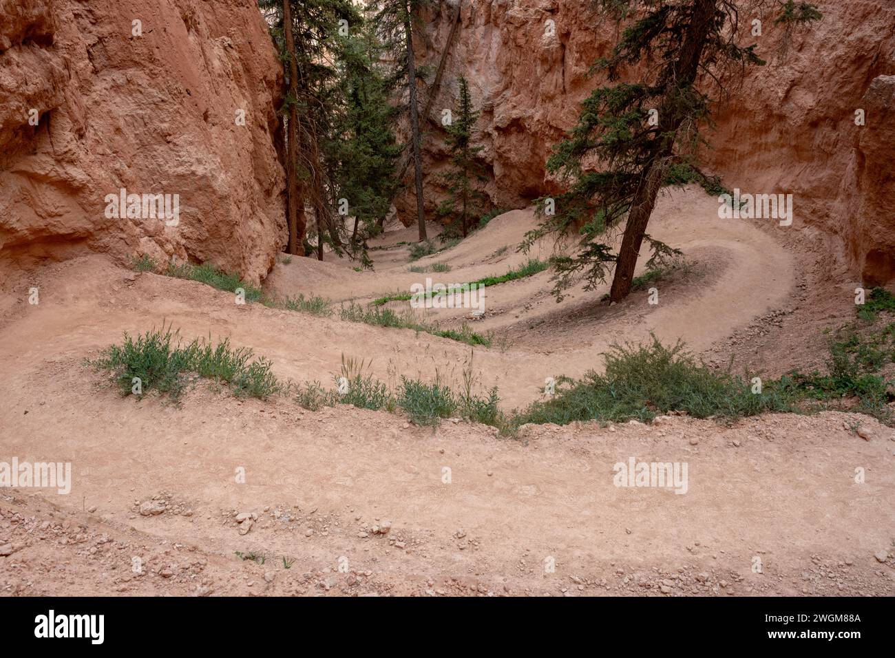 Packed Switchbacks Make Up Trail Into The Hoodoos Of Bryce Canyon Stock ...