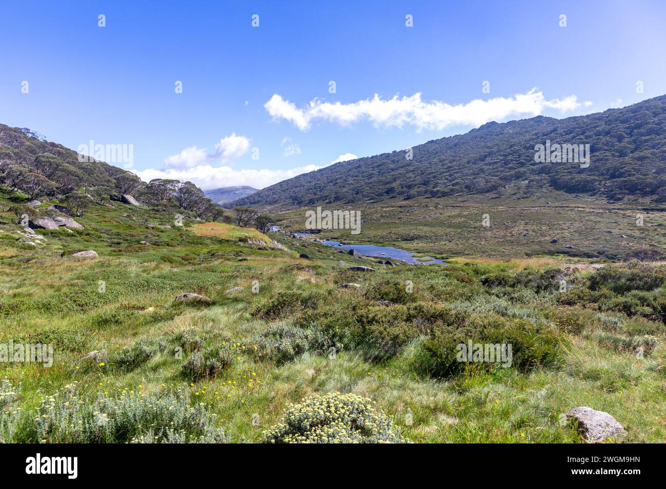Australian alpine hi-res stock photography and images - Alamy