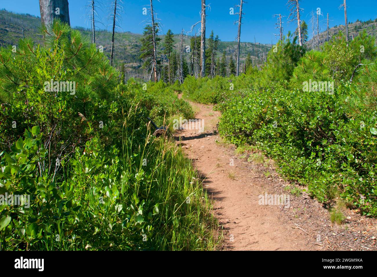 Imnaha River Trail, Imnaha Wild and Scenic River, Hells Canyon National ...