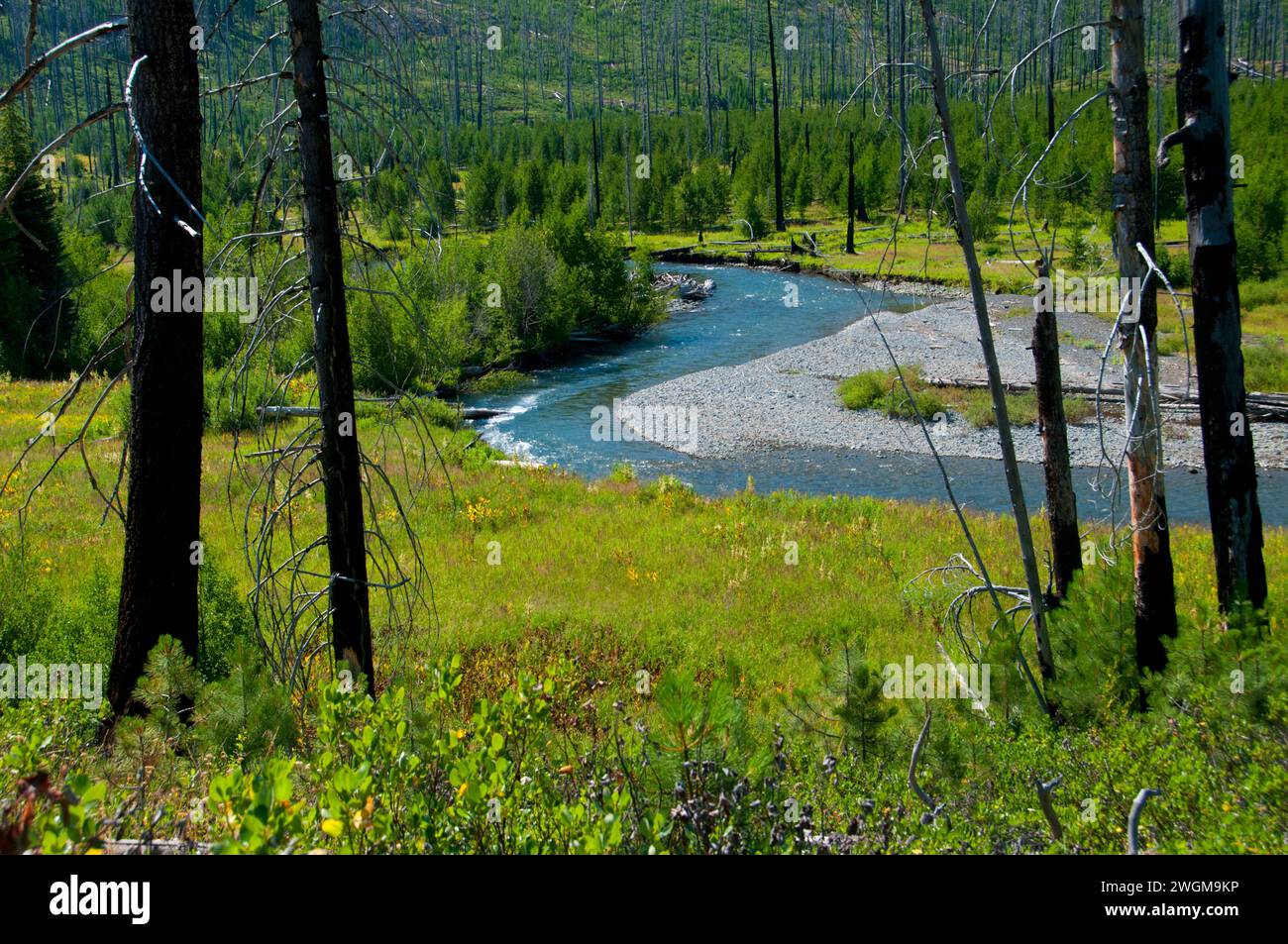 Imnaha River through Twin Lakes Burn along Imnaha River Trail, Imnaha ...