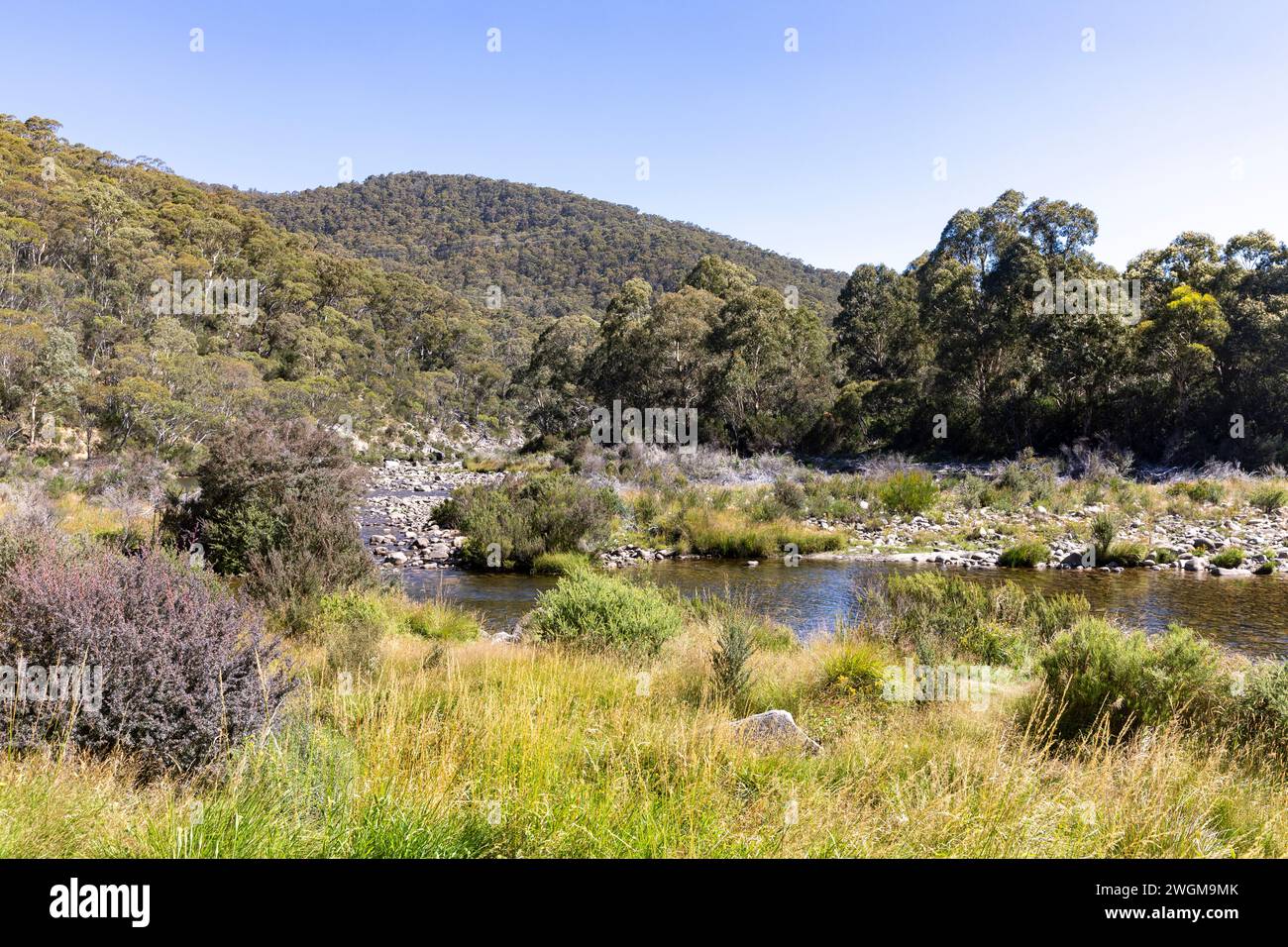 Snowy River in Kosciusko national park, summers day near Perisher ...