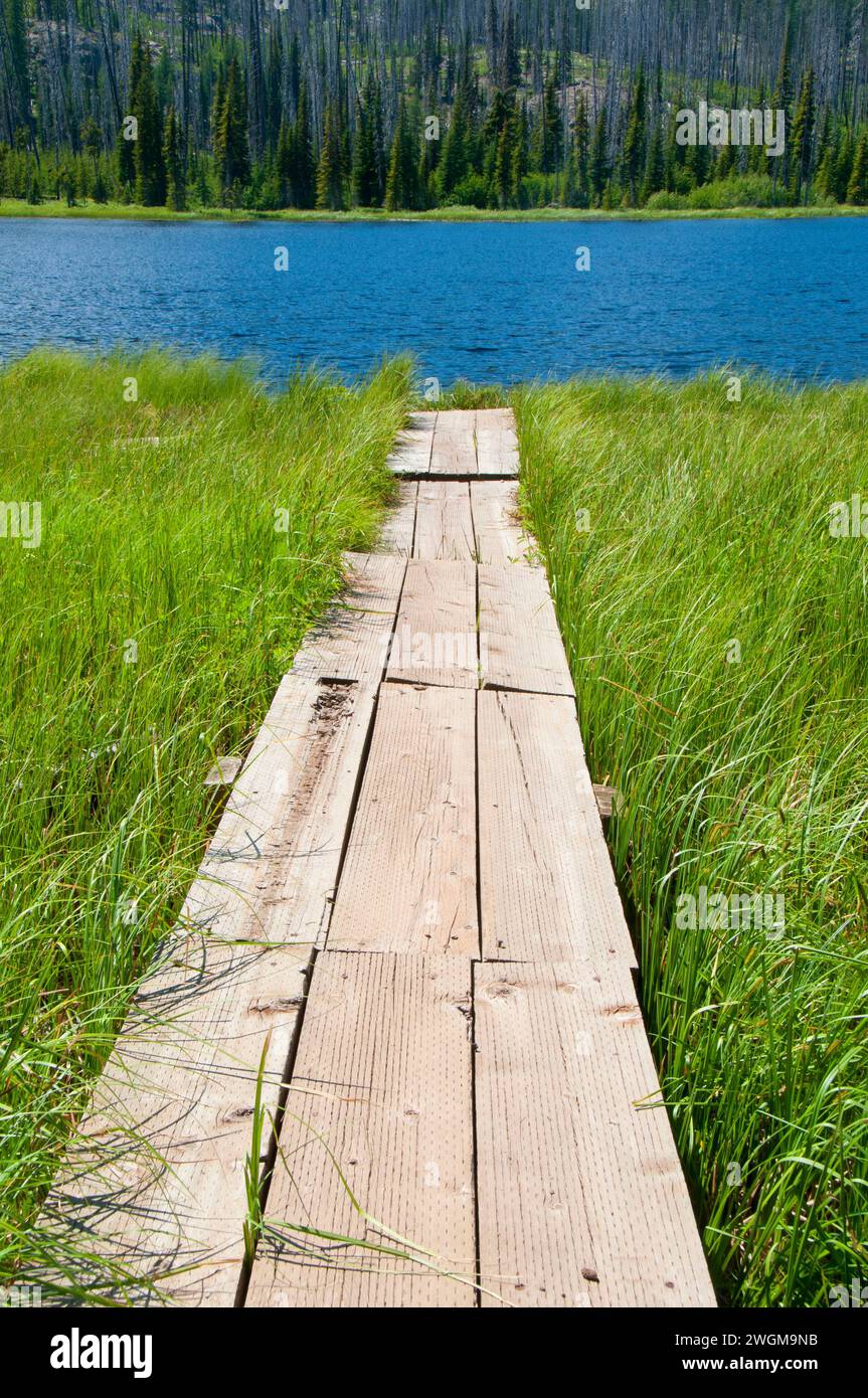 Twin Lakes boardwalk, Hells Canyon National Recreation Area, Oregon ...