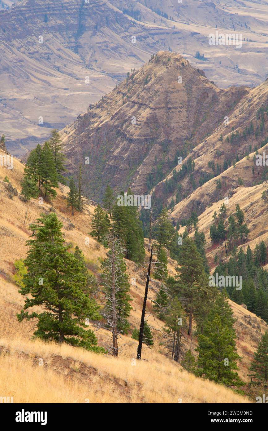 Imnaha River canyon from Spain Saddle Trail, Hells Canyon National Recreation Area, Oregon Stock ...