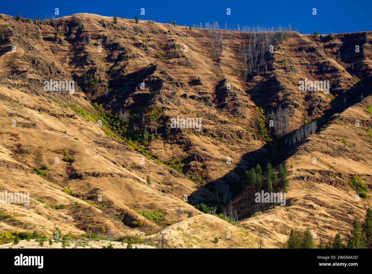 Pine Creek Canyon, Hells Canyon National Recreation Area, Hells Canyon ...