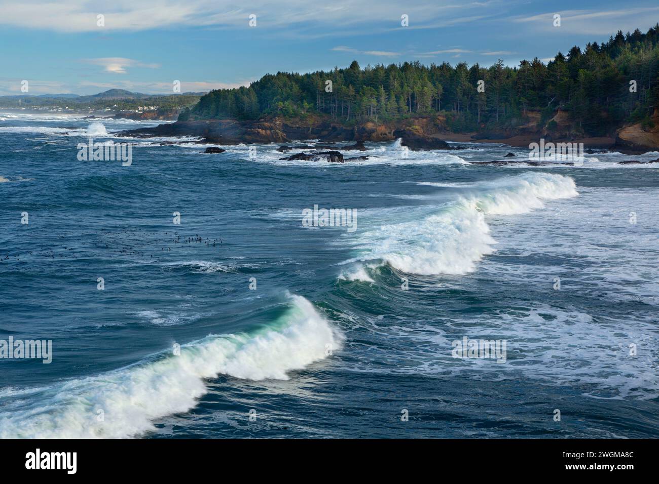 Boiler Bay, Boiler Bay State Park, Oregon Stock Photo - Alamy