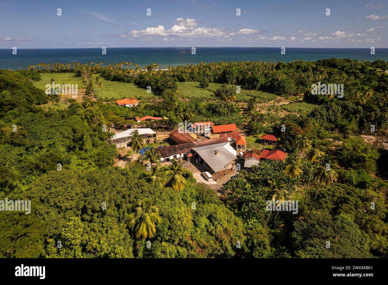 River Antoine Rum Distiller, Grenada, West Indies Stock Photo - Alamy