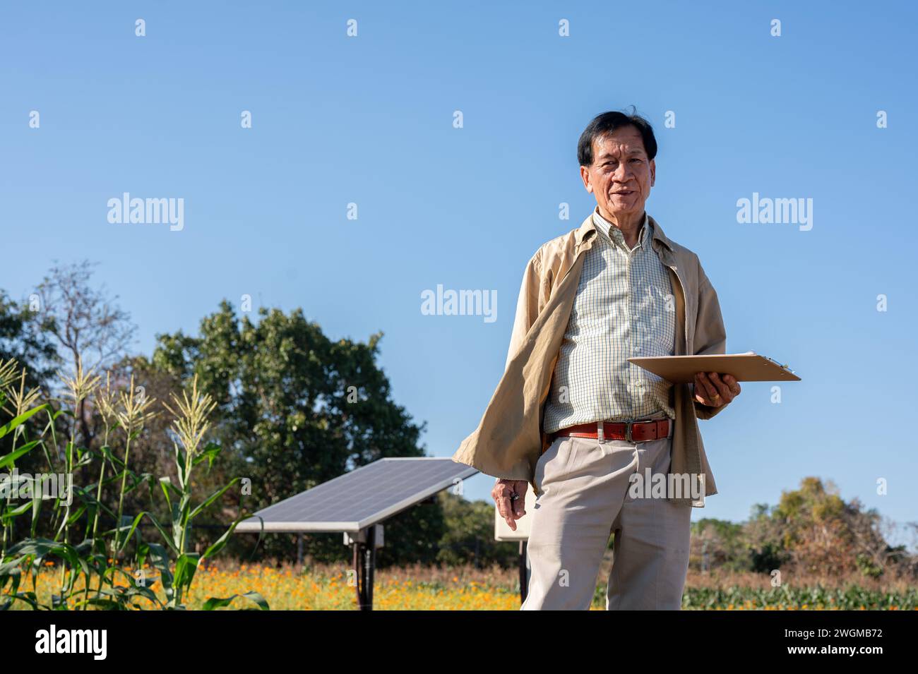 A successful senior Asian farmer or farm owner is working in his corn ...