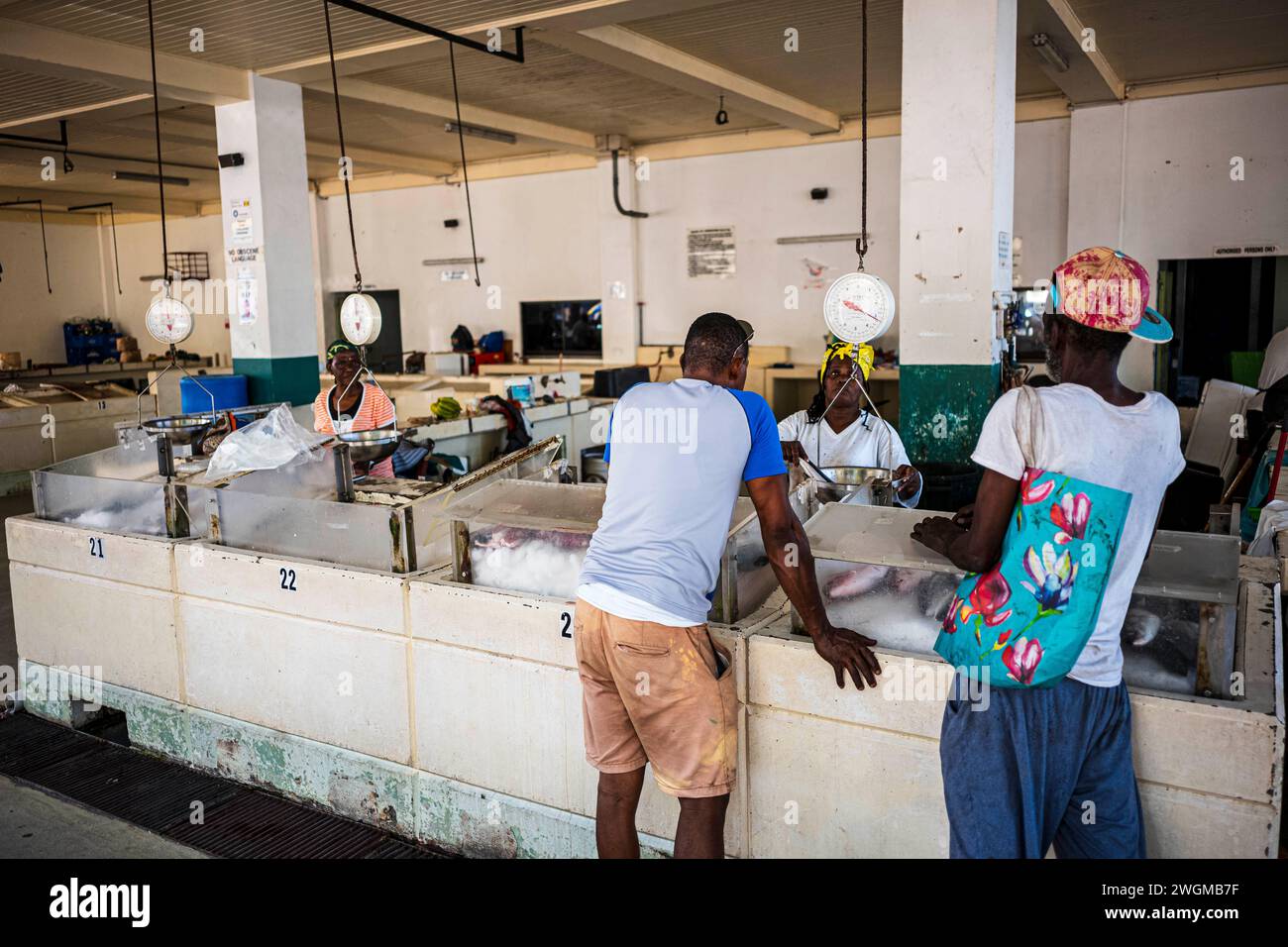 Fish fish market grenada market hi-res stock photography and images - Alamy