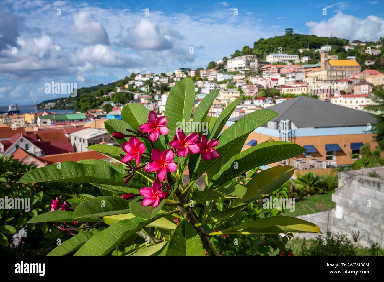 St. George's, Grenada, West Indies Stock Photo - Alamy