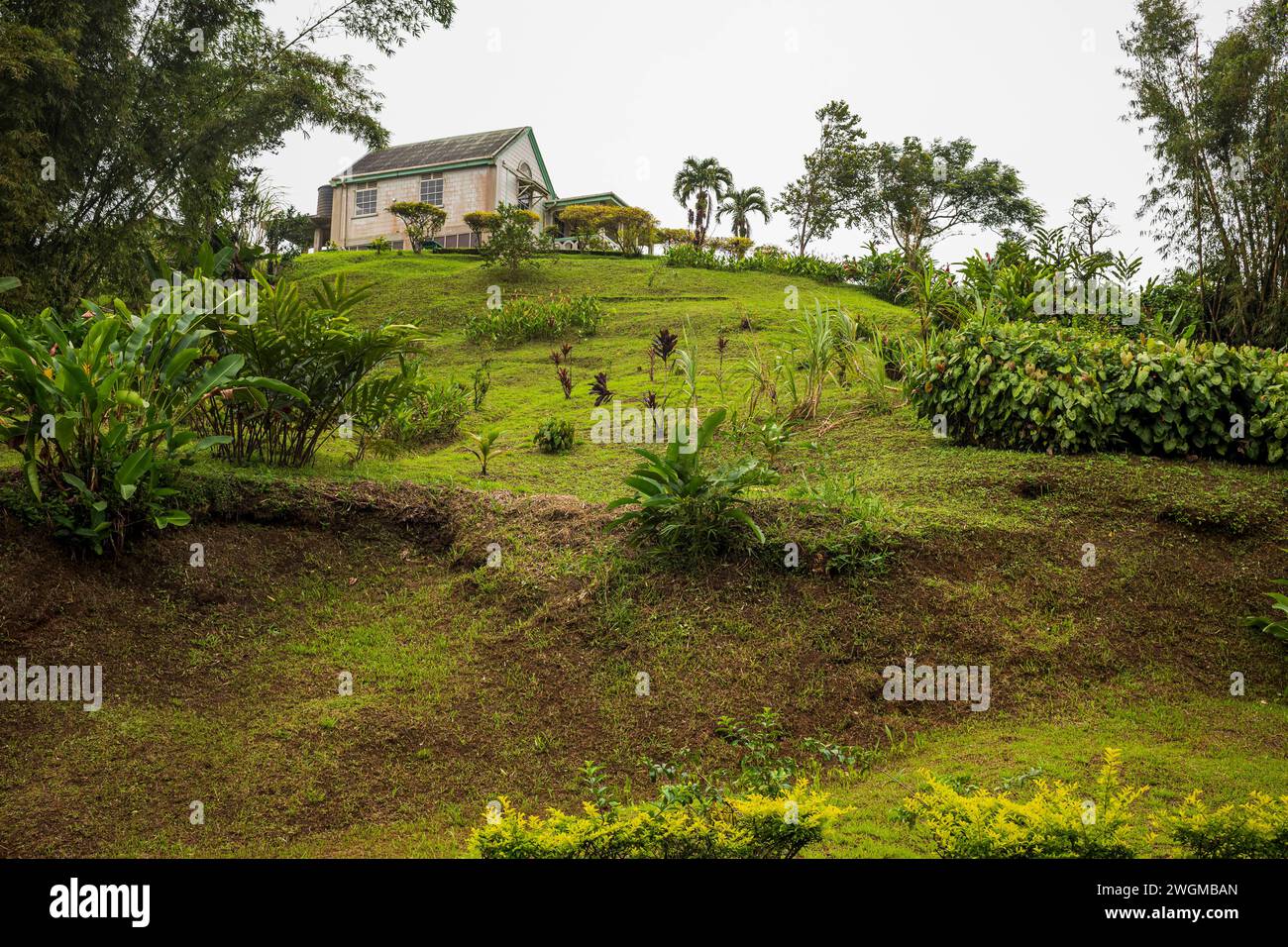 Grand etang national park hi-res stock photography and images - Alamy