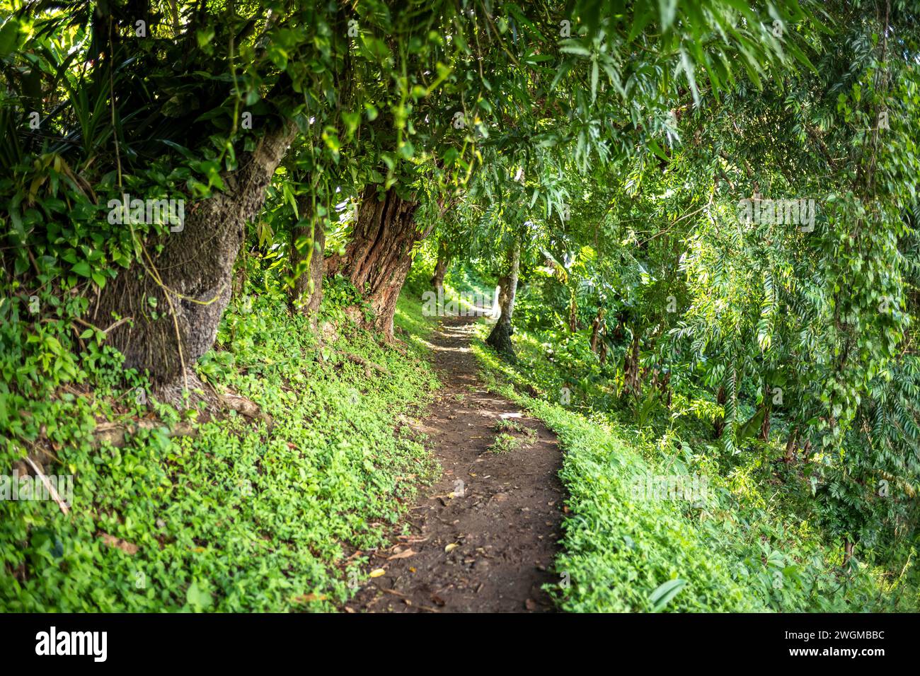 Mt carmel waterfall hi-res stock photography and images - Alamy