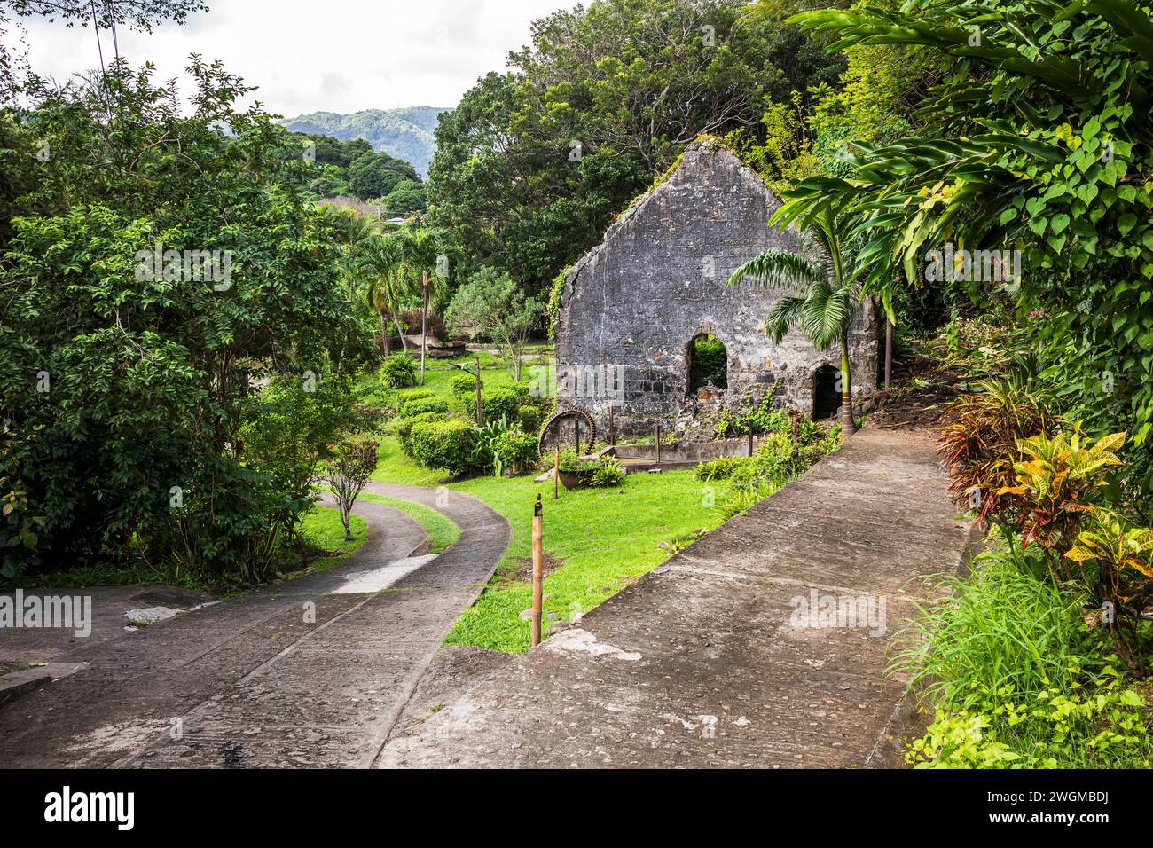 Grenada spice island tour hi-res stock photography and images - Alamy