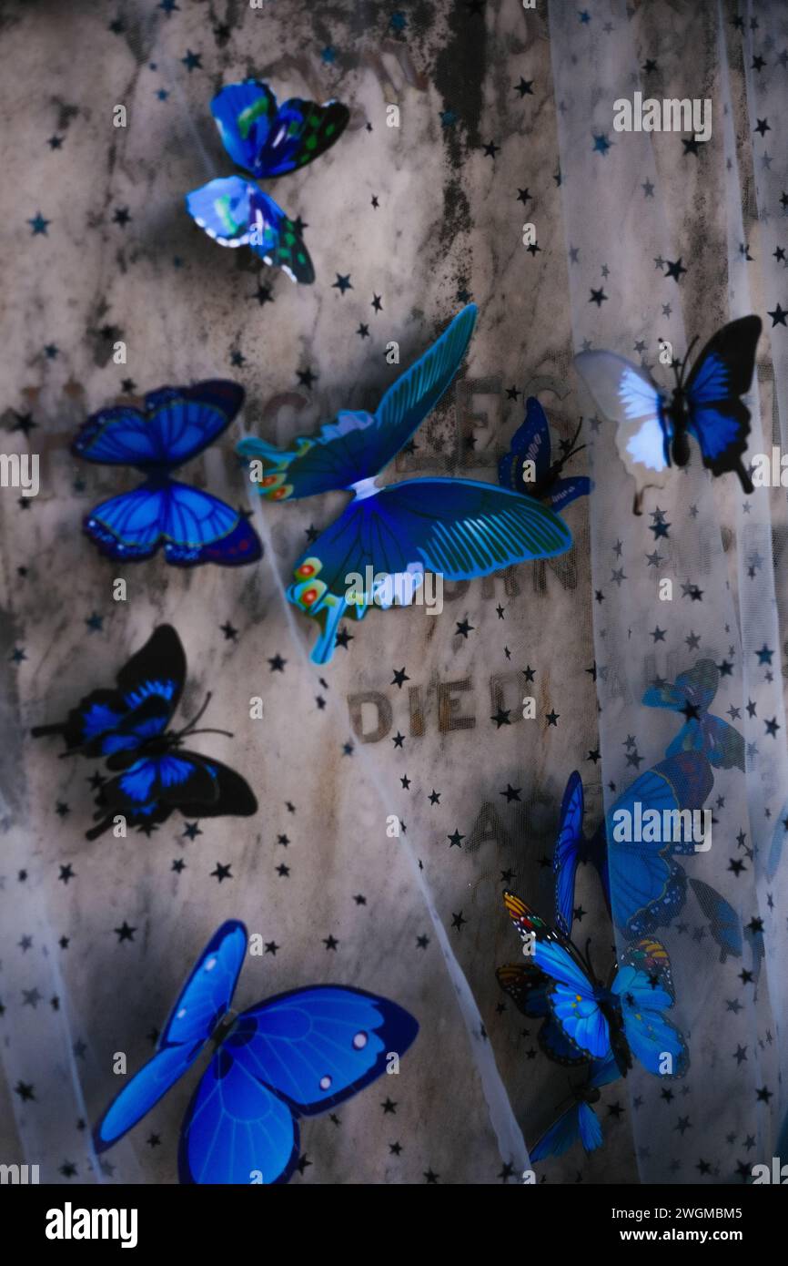 Corpse Bride, Emily, Tim Burton, Halloween Photoshoot, Blue butterflies ...