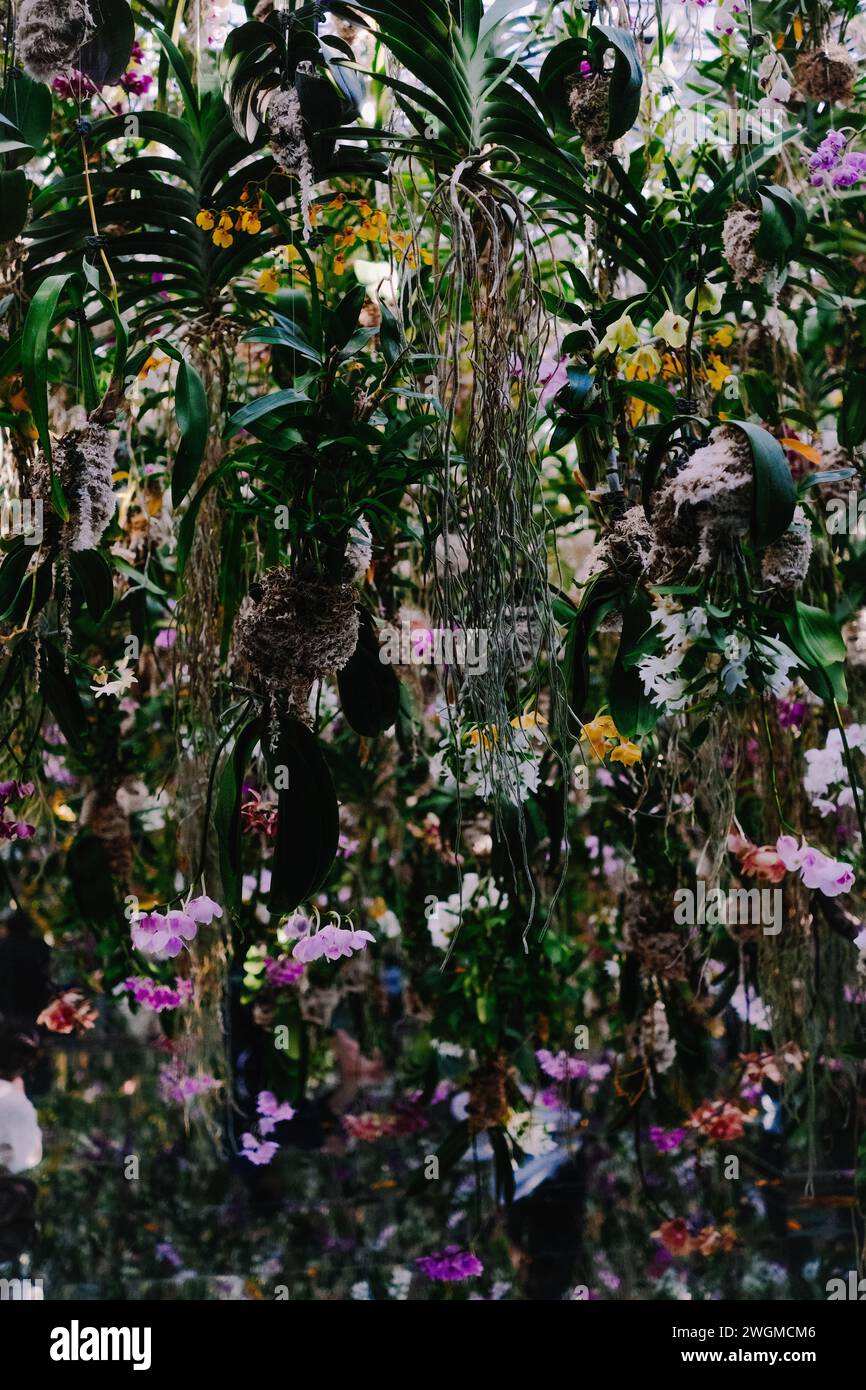 Team labs planets tokyo hi-res stock photography and images - Alamy