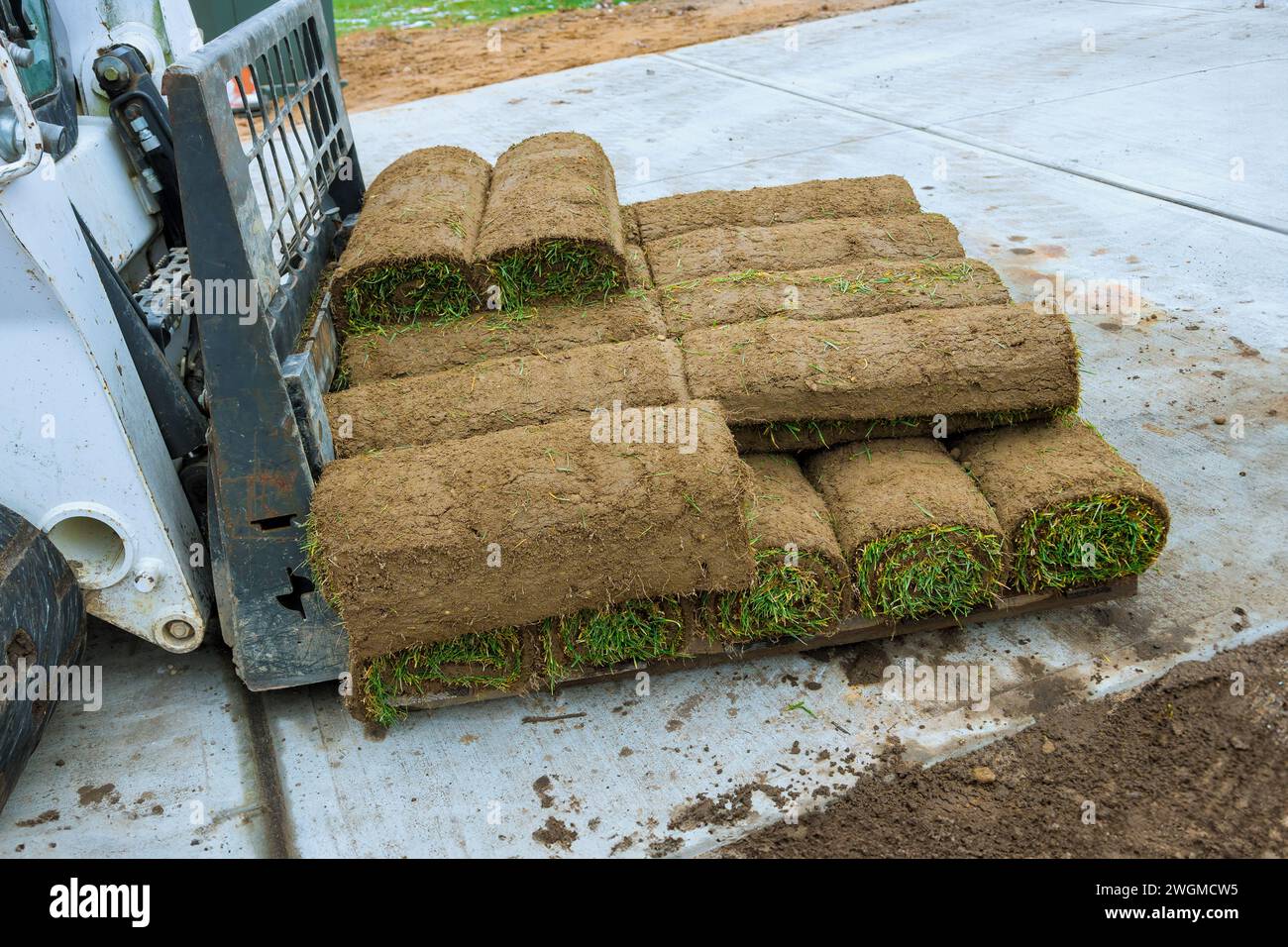 Pallet with stack of turf grass rolls fresh grass rolls stacked to ...