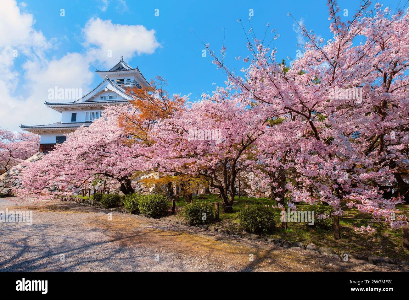 Shiga, Japan - April 3 2023: Nagahama Castle built by feudal lord ...