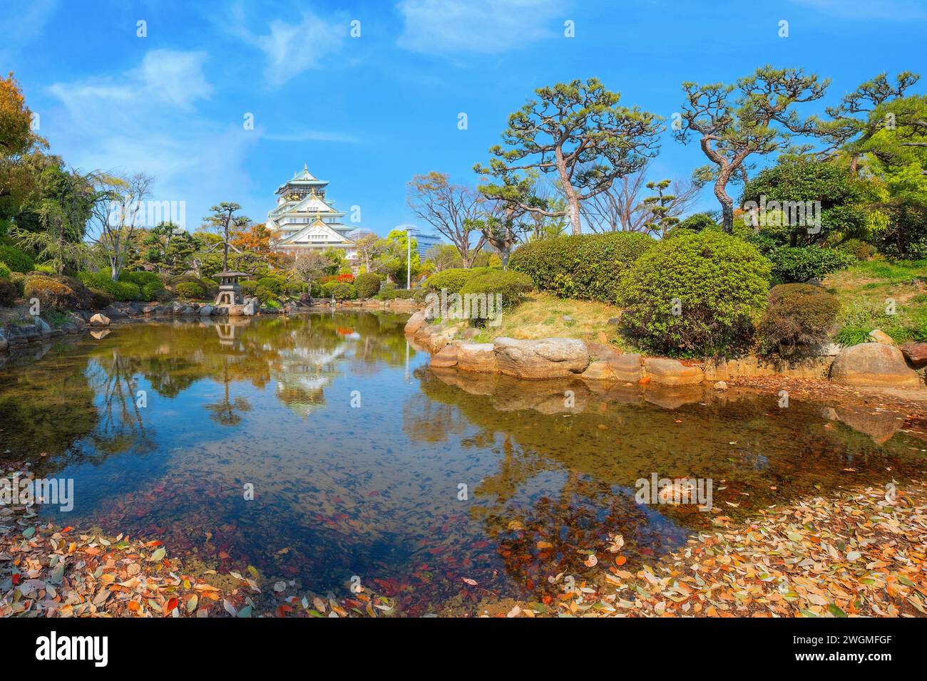 Hanami spots hi-res stock photography and images - Alamy