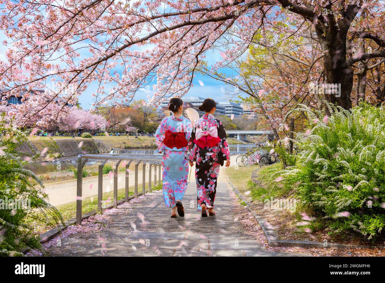 Kyoto kamogawa sakura hi-res stock photography and images - Alamy