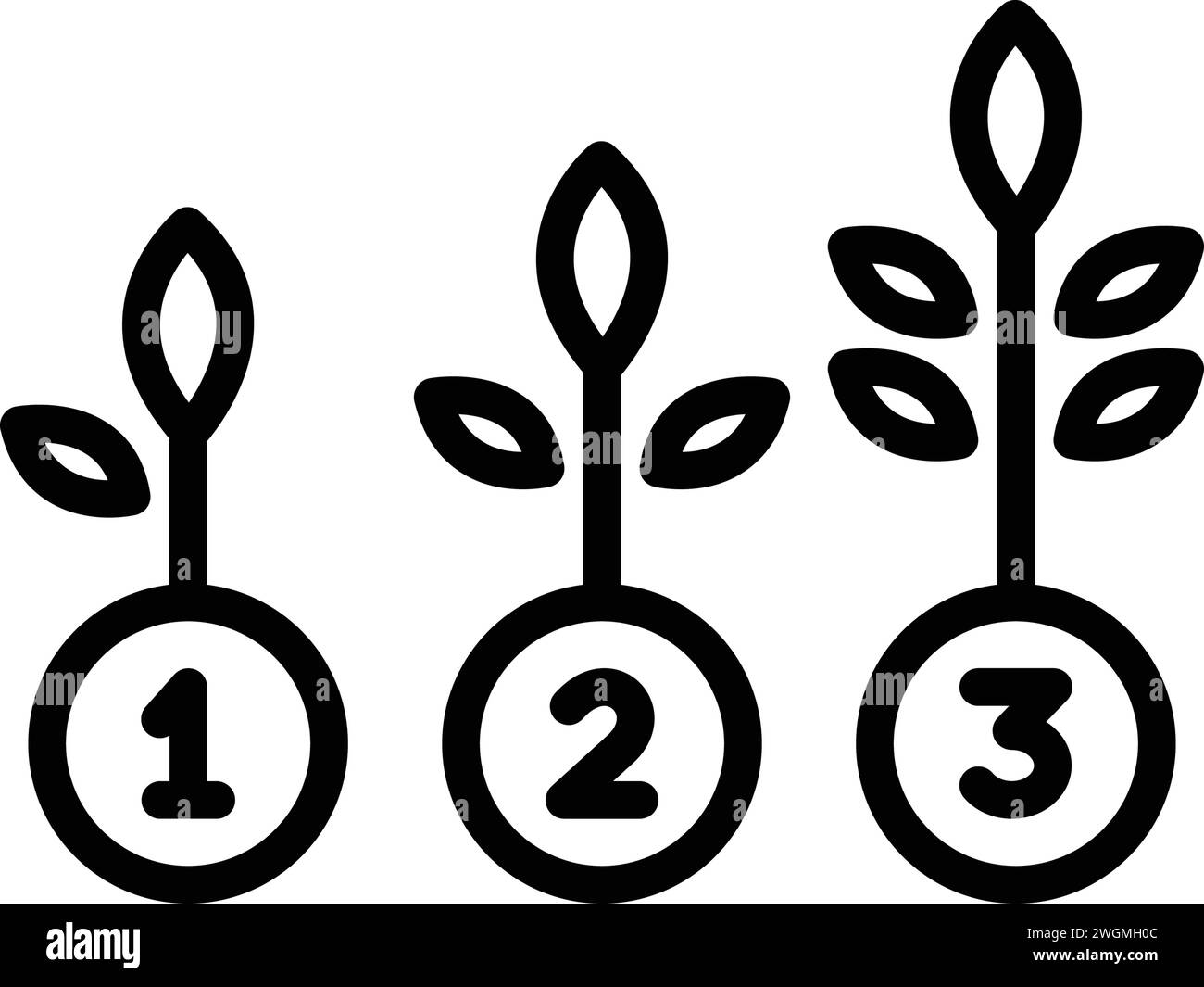 Plant stage growth Black and White Stock Photos & Images - Alamy