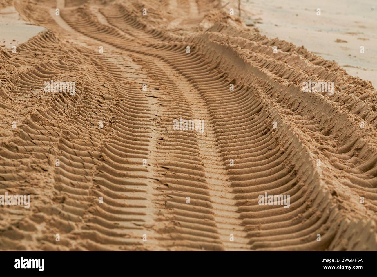 The wheel ruts of construction vehicles on the beach at the seaside ...
