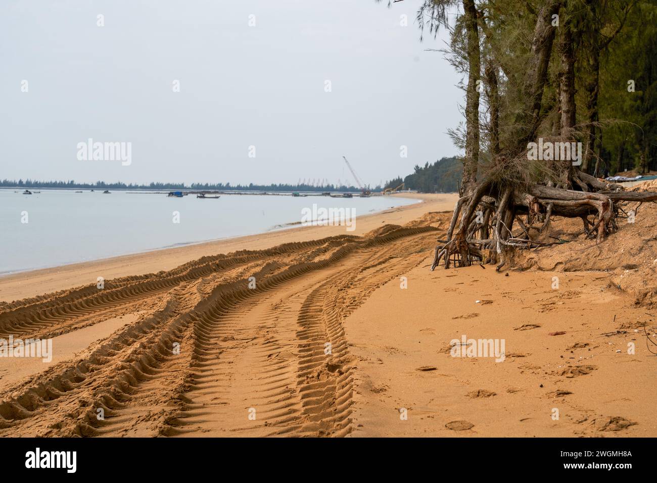 The wheel ruts of construction vehicles on the beach at the seaside ...