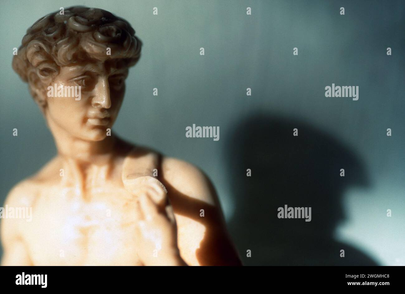 Statue of david hi-res stock photography and images - Alamy