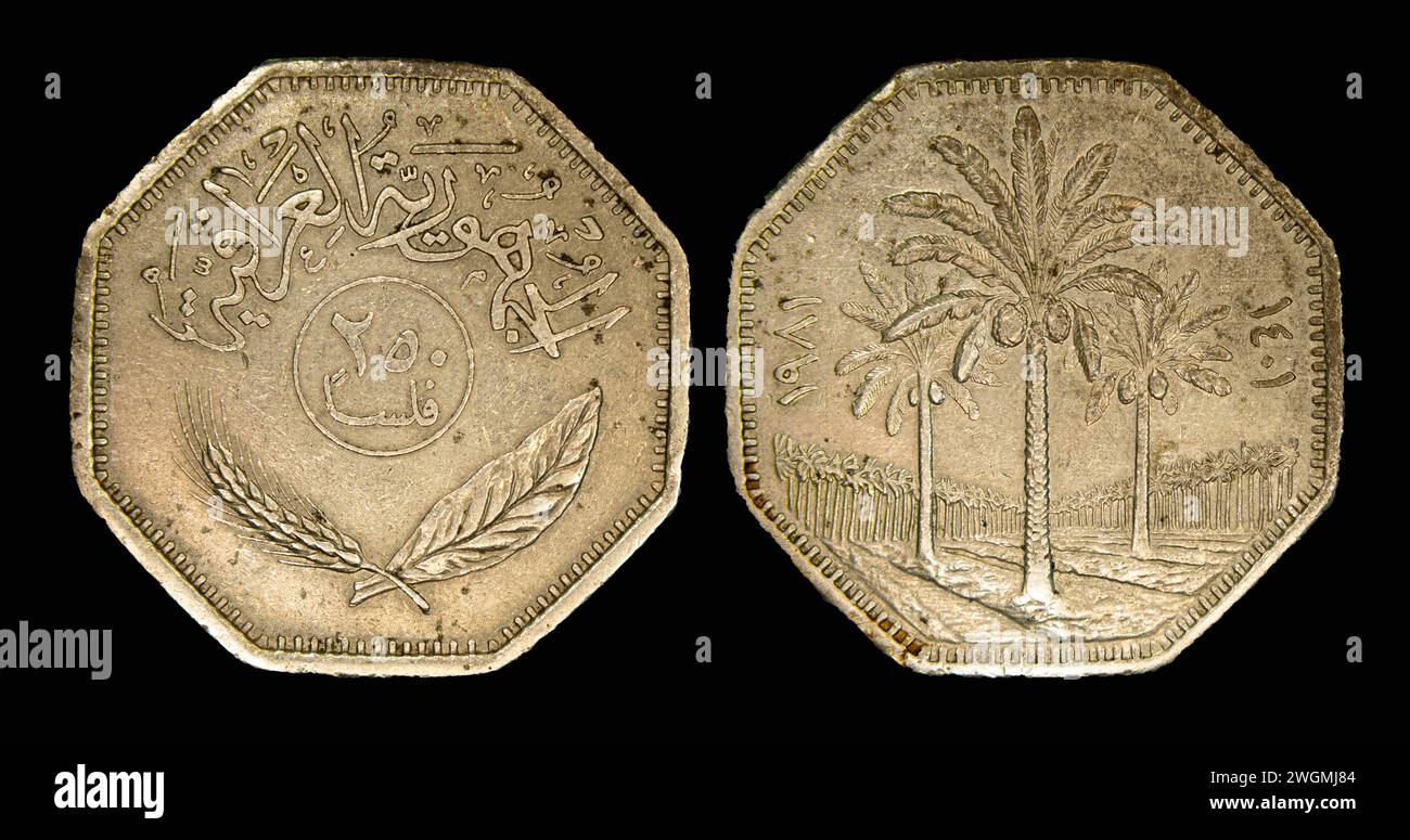 Two vintage Libyan Jamahiriya dinar coins placed on a vibrant black ...