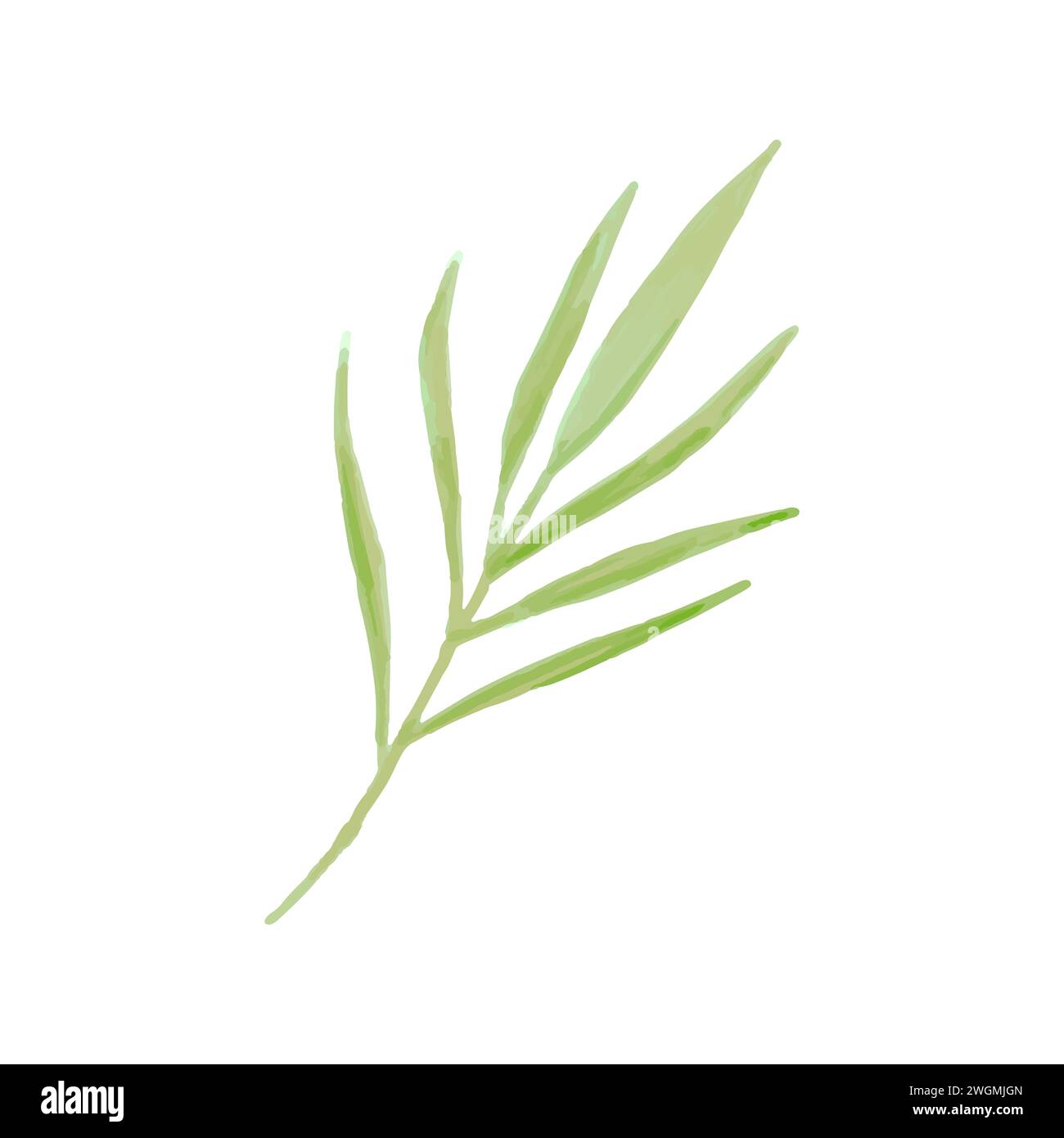 Watercolor Green Leaf Vector Illustration Stock Vector Image & Art - Alamy