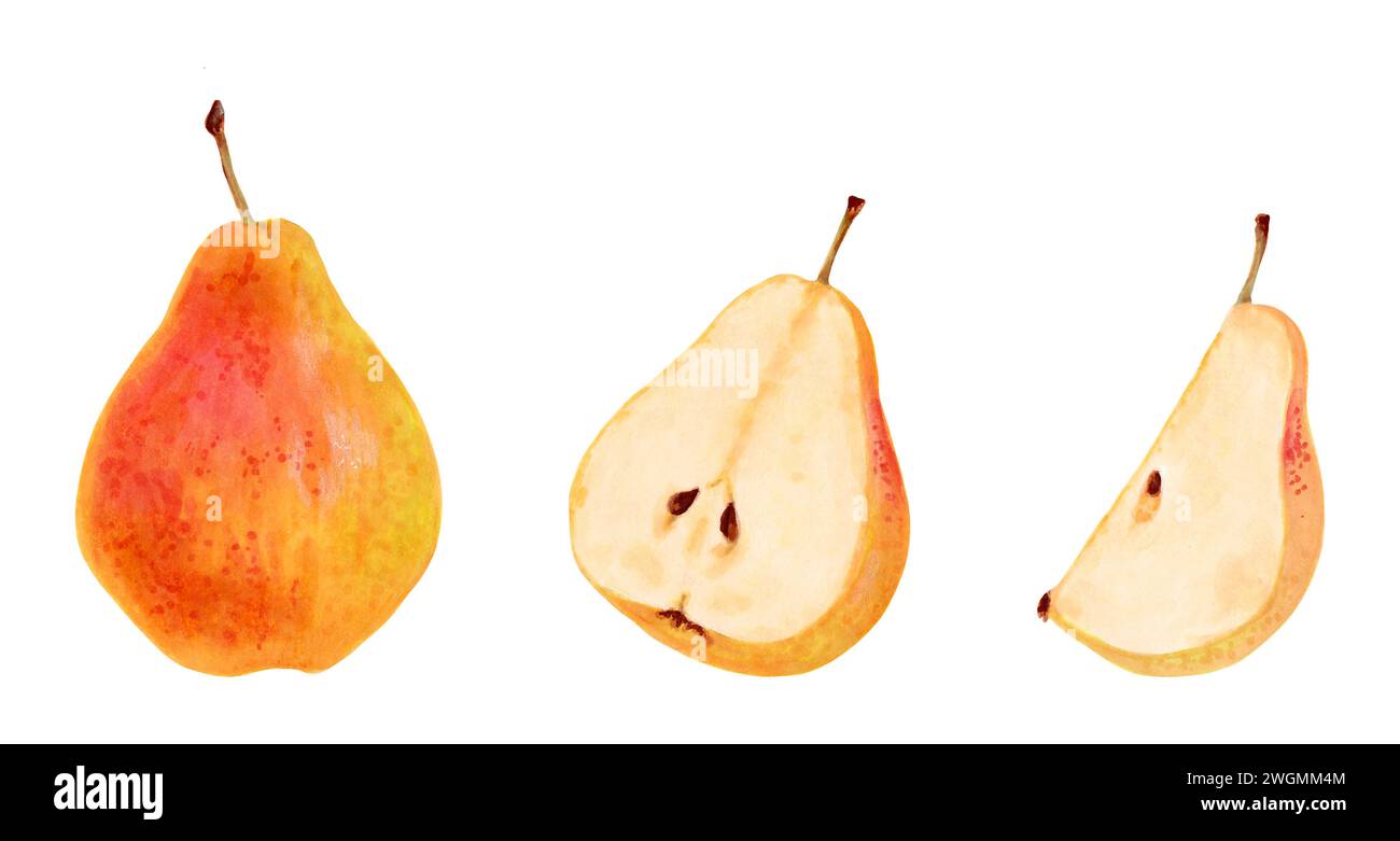 Collection of yellow pears. Whole, halves and pieces of fruit ...