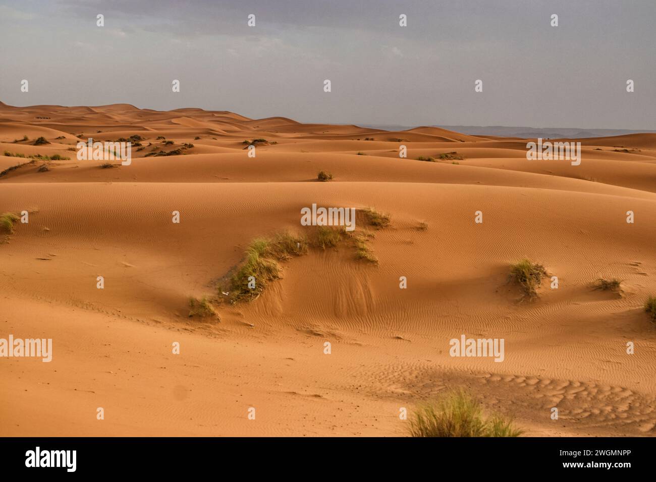 Sand shifting in the Sahara desert. The Sahara is a desert spanning ...