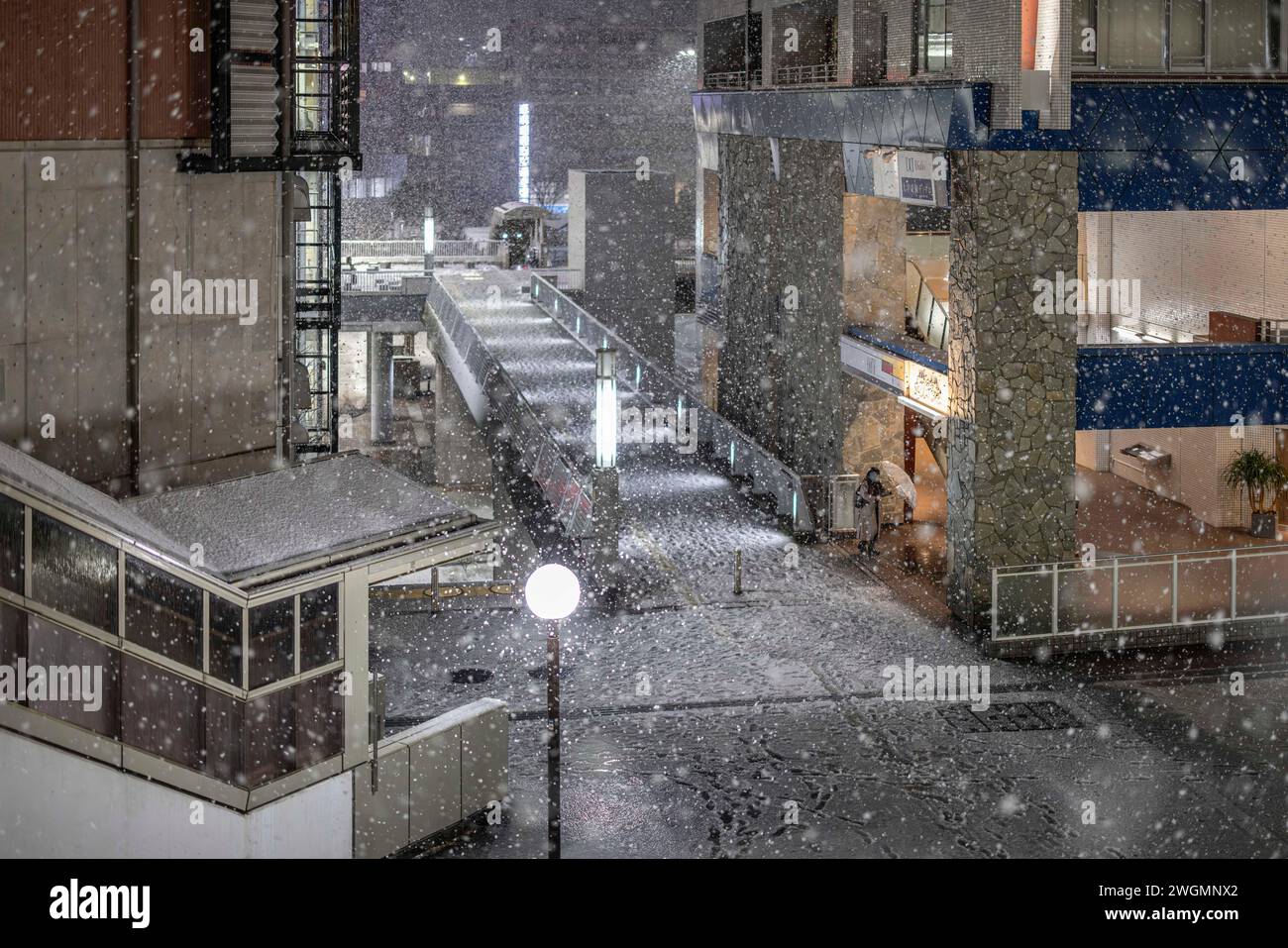 Yokohama, Japan. 05th Feb, 2024. Woman walks home during a rare snow ...