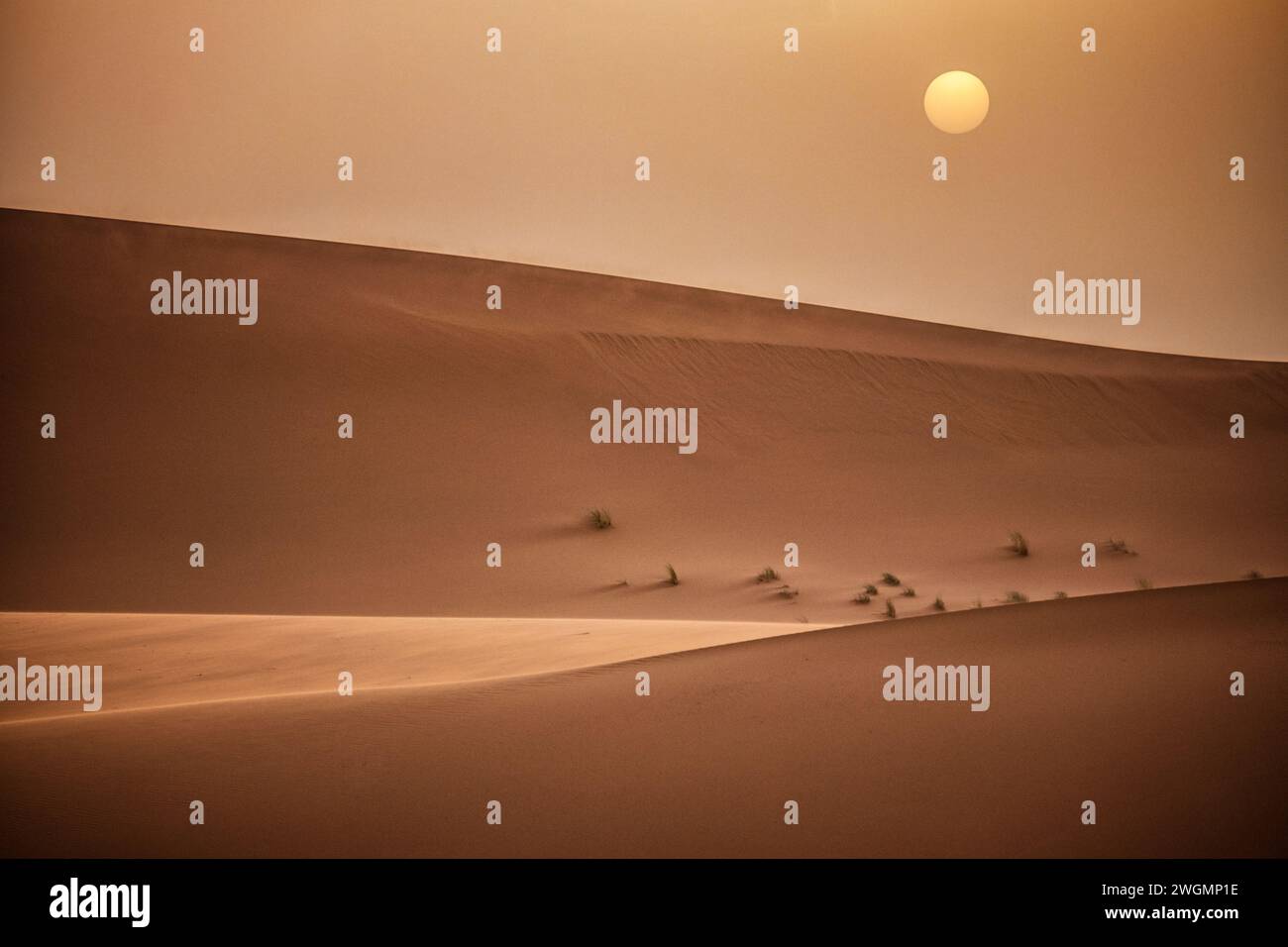 Sunset over the Sahara desert. The Sahara is a desert spanning across ...